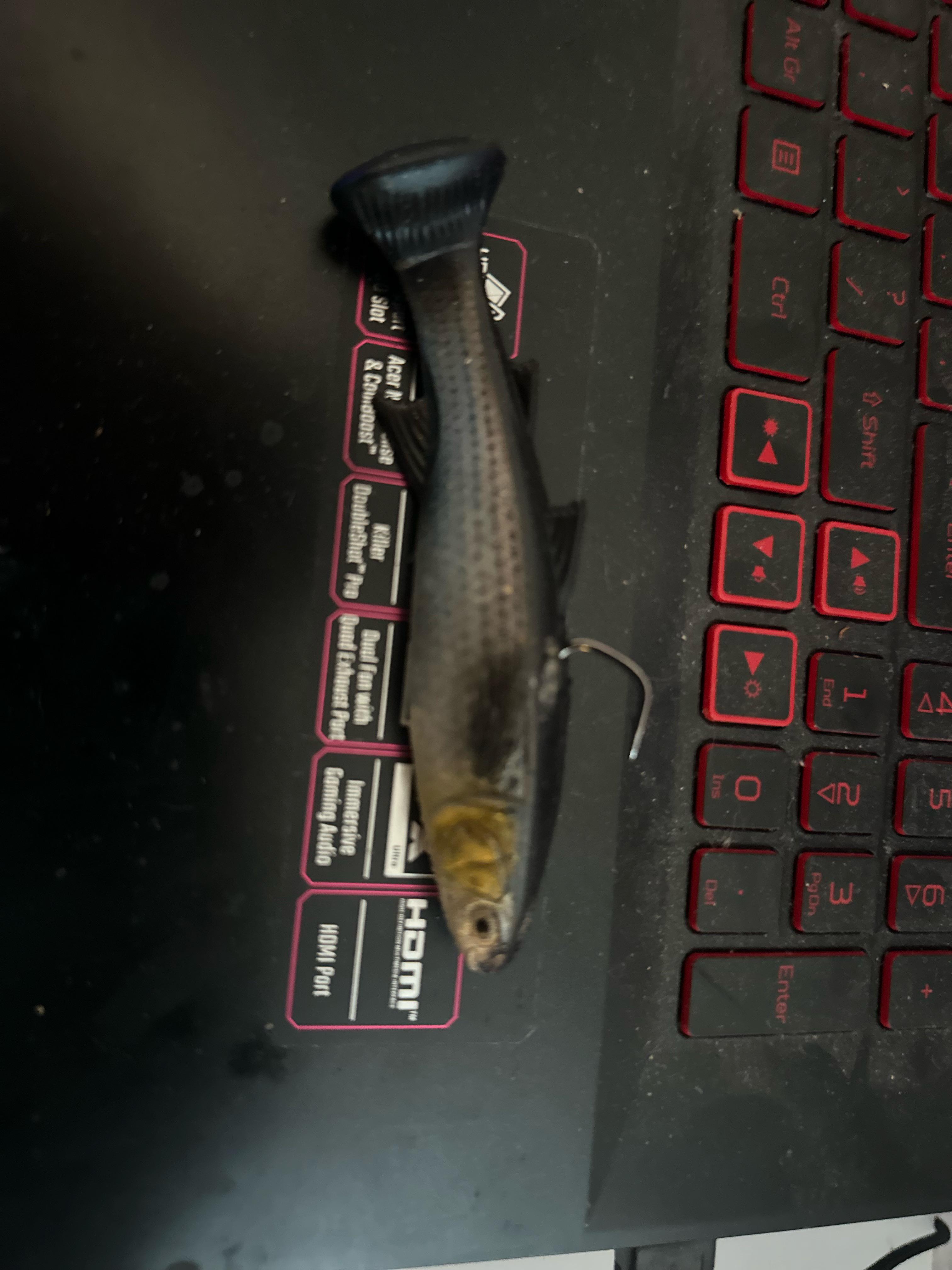 Mulletron lt hook stuck ? Help? | Scrolller