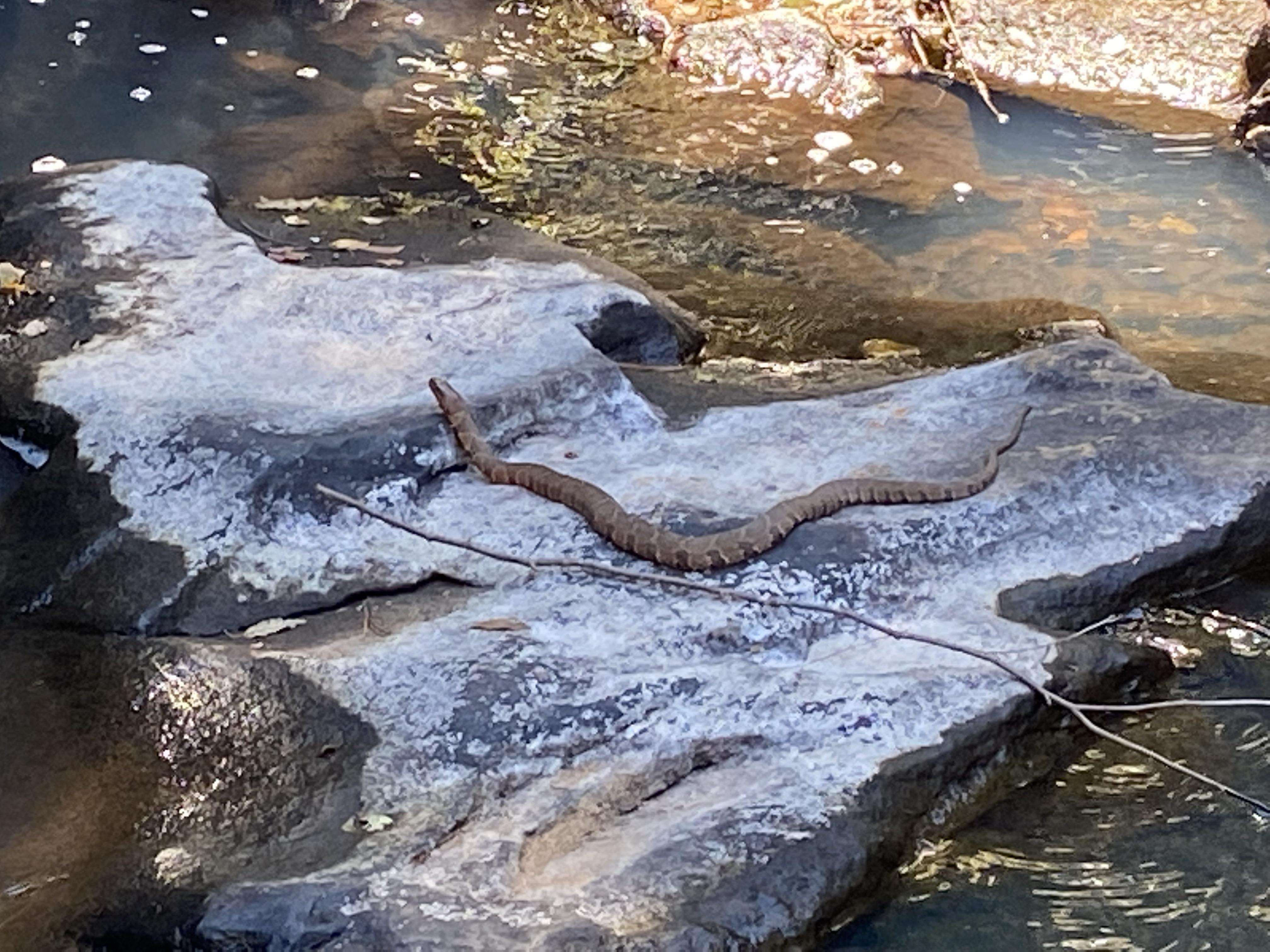 Atlanta area | Scrolller