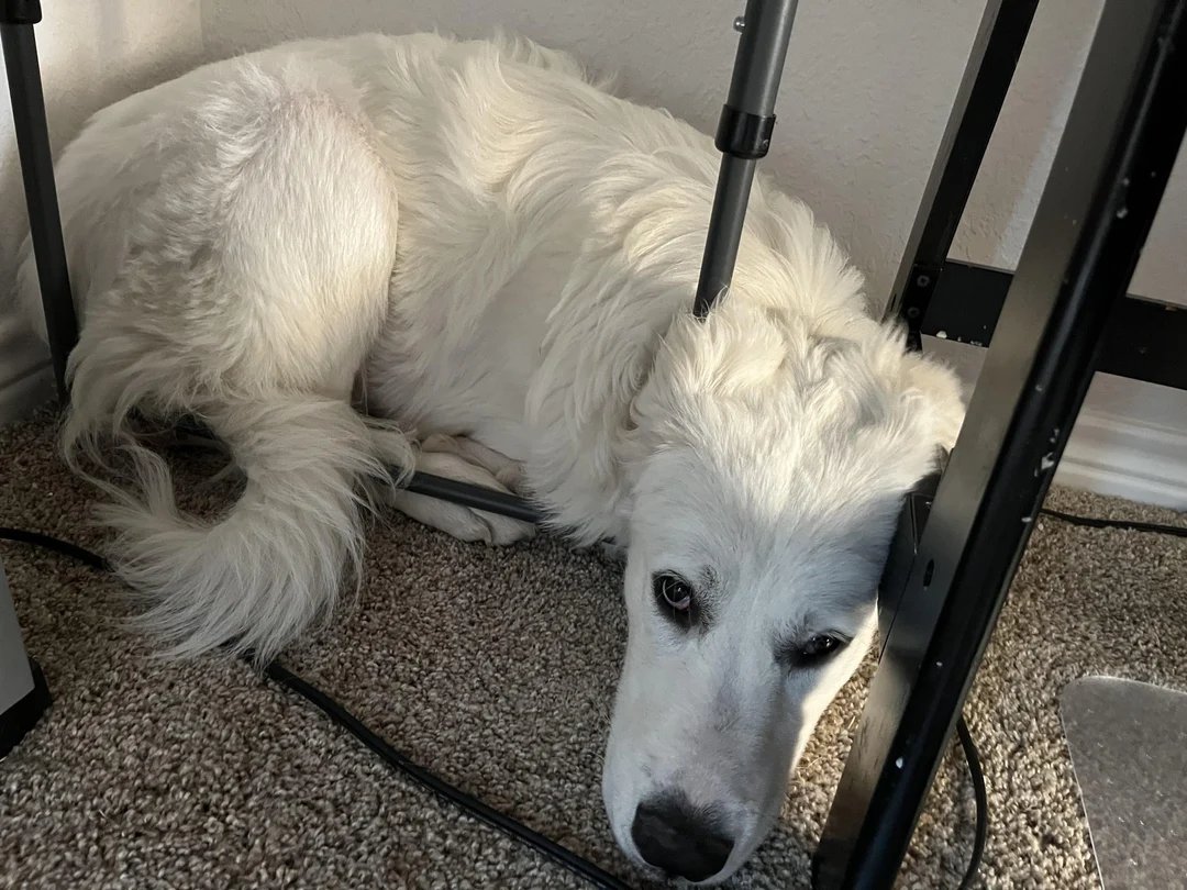 How is this comfortable? | Scrolller