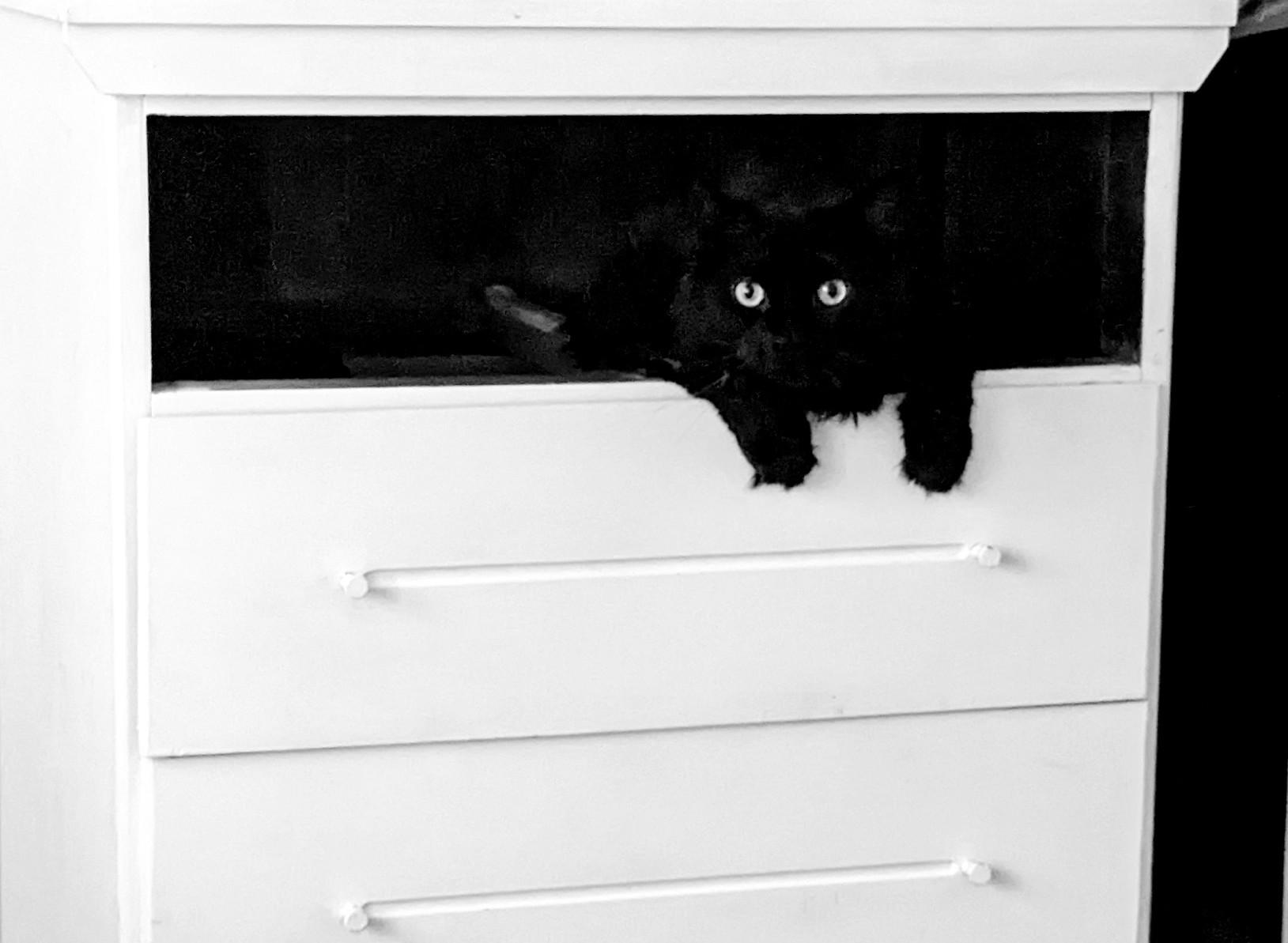 Our hairy toed void | Scrolller