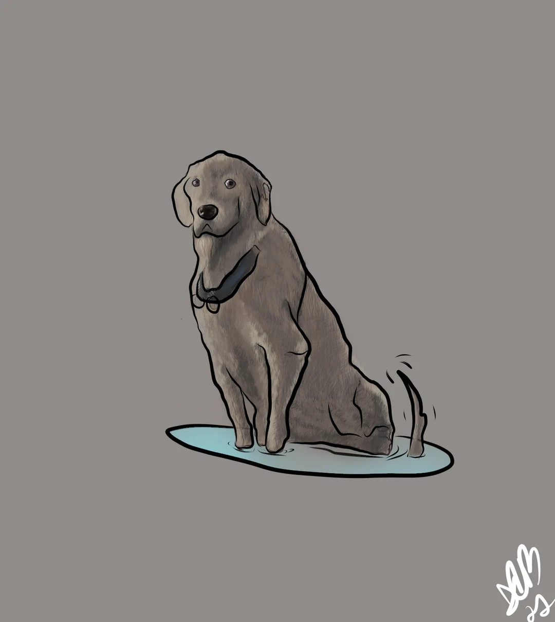 A good doggo. | Scrolller