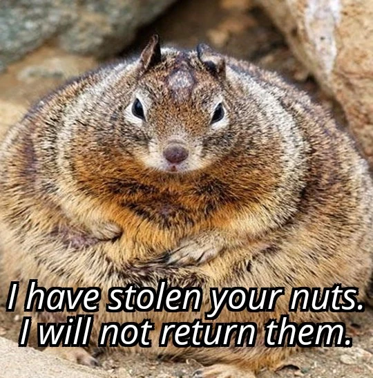 C'mon bro I need those | Scrolller