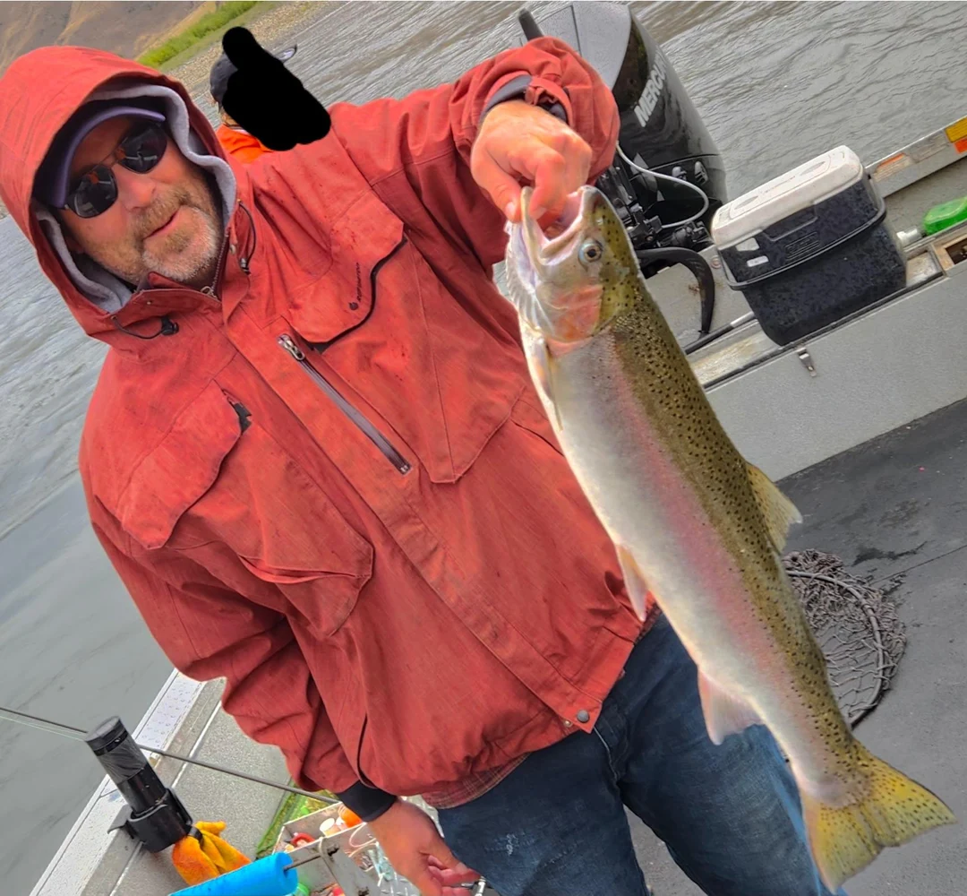 My first Steelhead! Snake River at Heller Bar | Scrolller