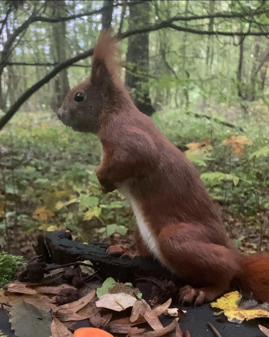 Finding Inner Peace ... | Scrolller