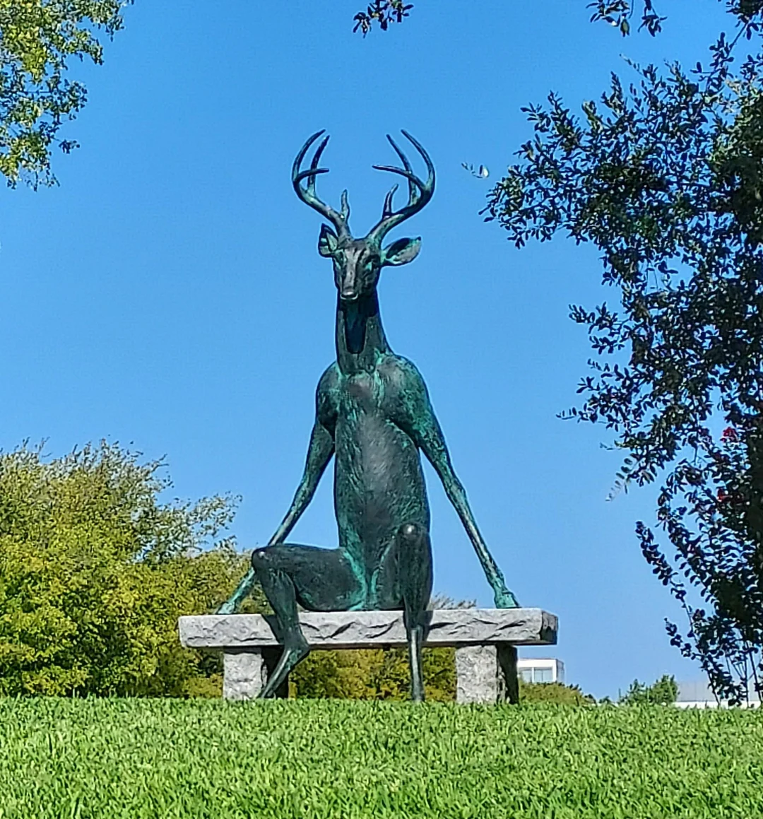 Random Art (Dallas North Suburbs) | Scrolller