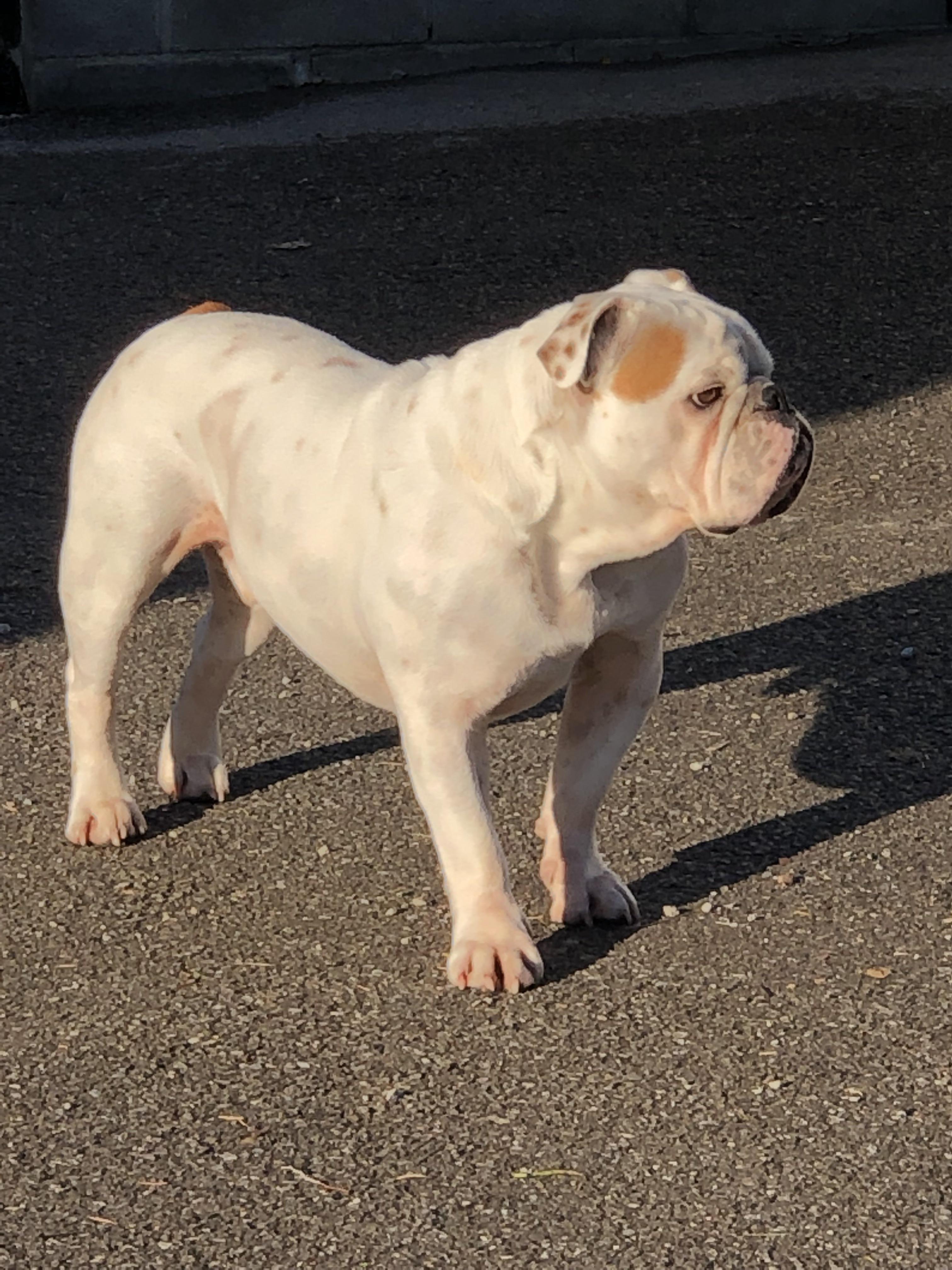 Walter - then and now | Scrolller