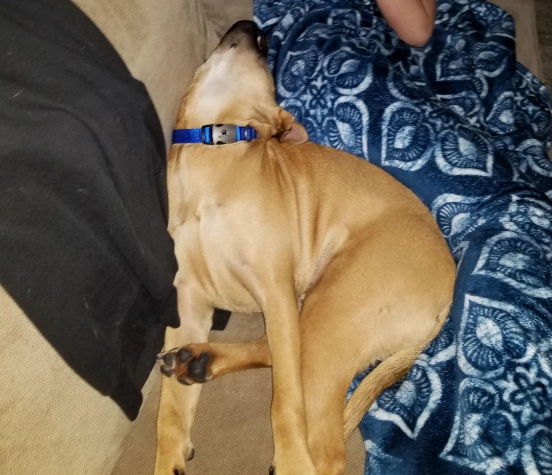 How is this comfortable | Scrolller