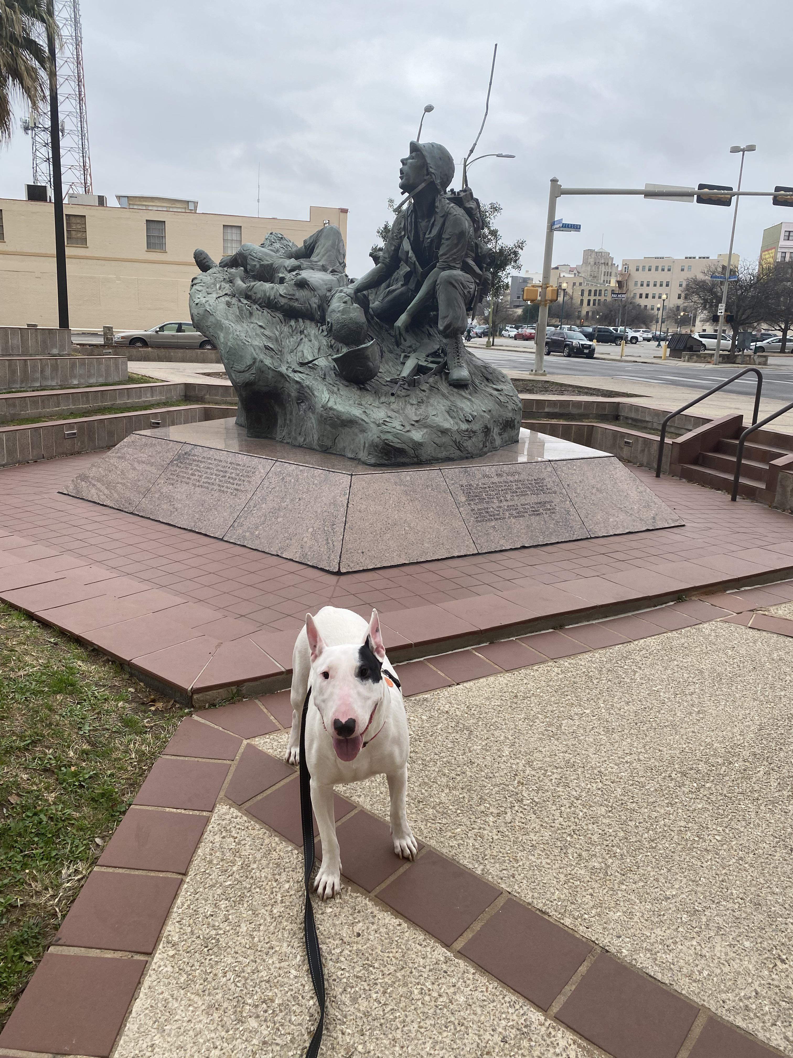 Our on our daily walk. | Scrolller