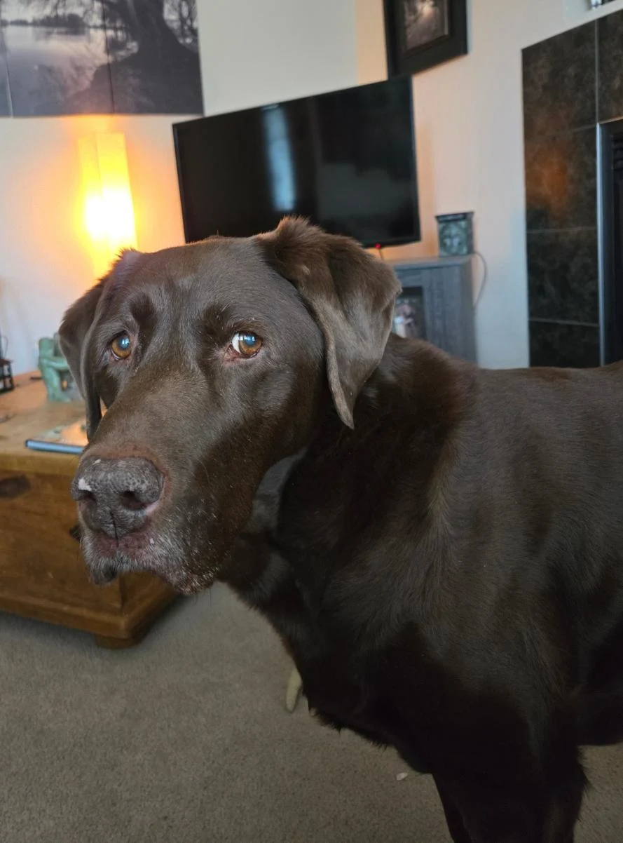 People don't believe me when I say she's 14... I can hardly believe it myself. Sophie is a ...