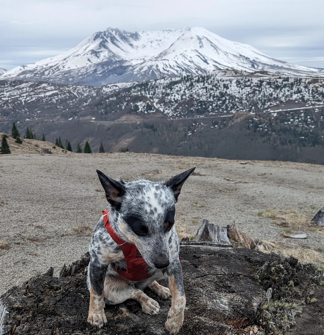 Goblin stance | Scrolller