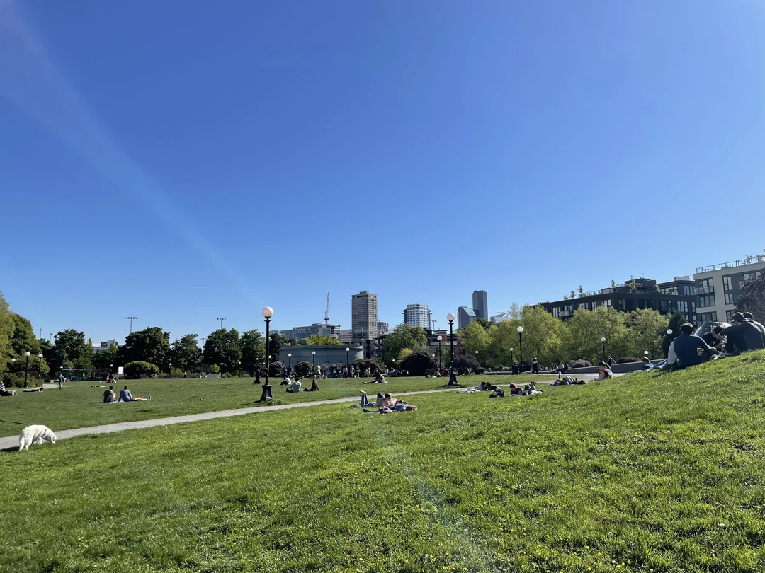 Cal Anderson Park, Seattle [OC] | Scrolller