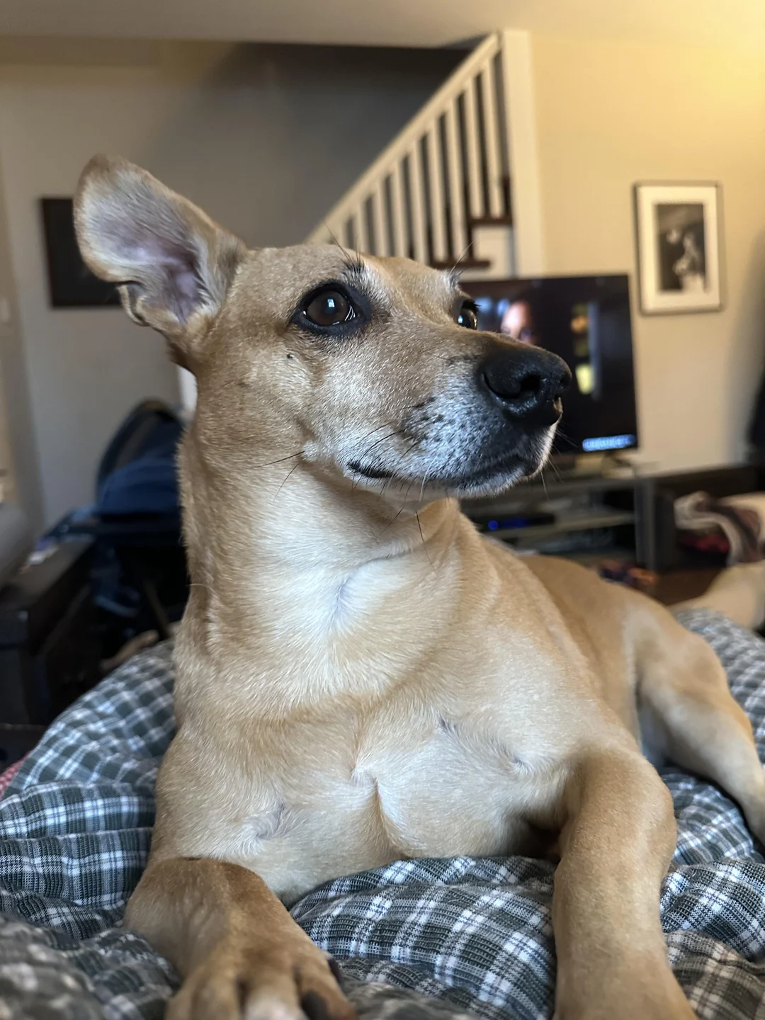 Bonding time | Scrolller