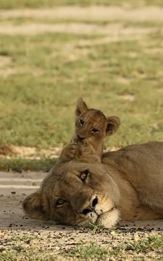 Mom your ear is yummy | Scrolller