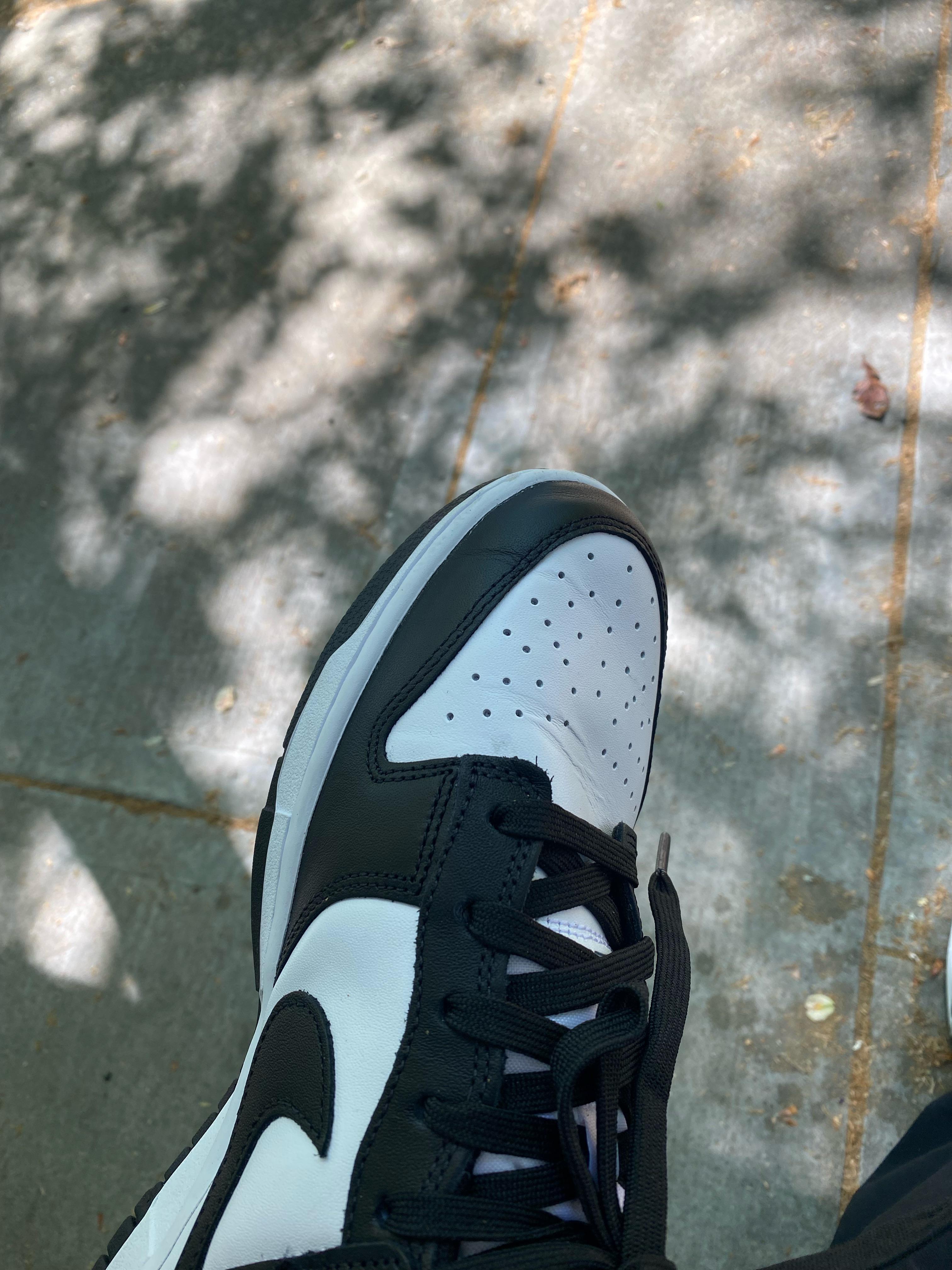 Panda Dunks looks like this after only two hours of use (creased a bit). Is it normal? | Scrolller