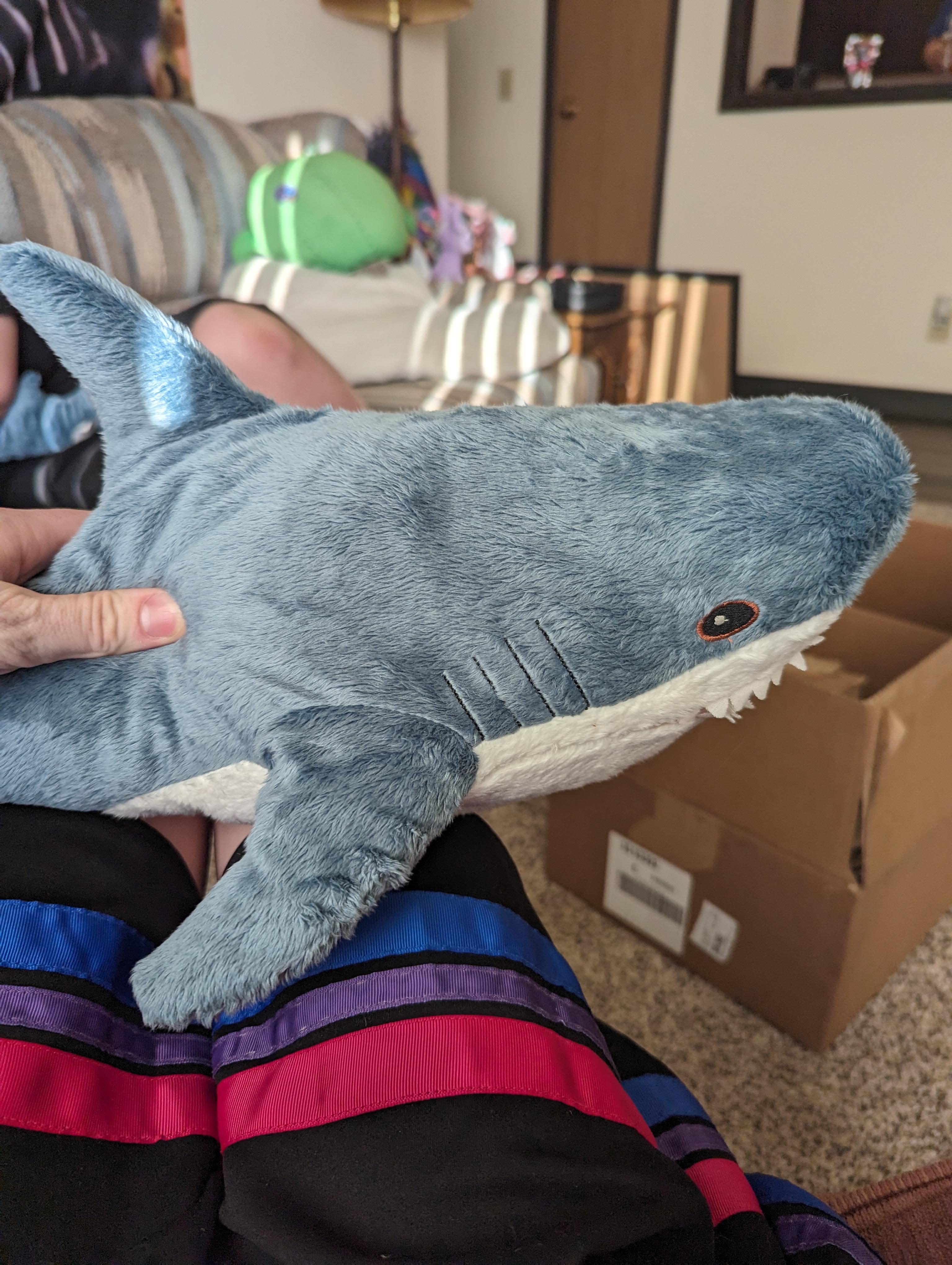 Blahaj obtained | Scrolller