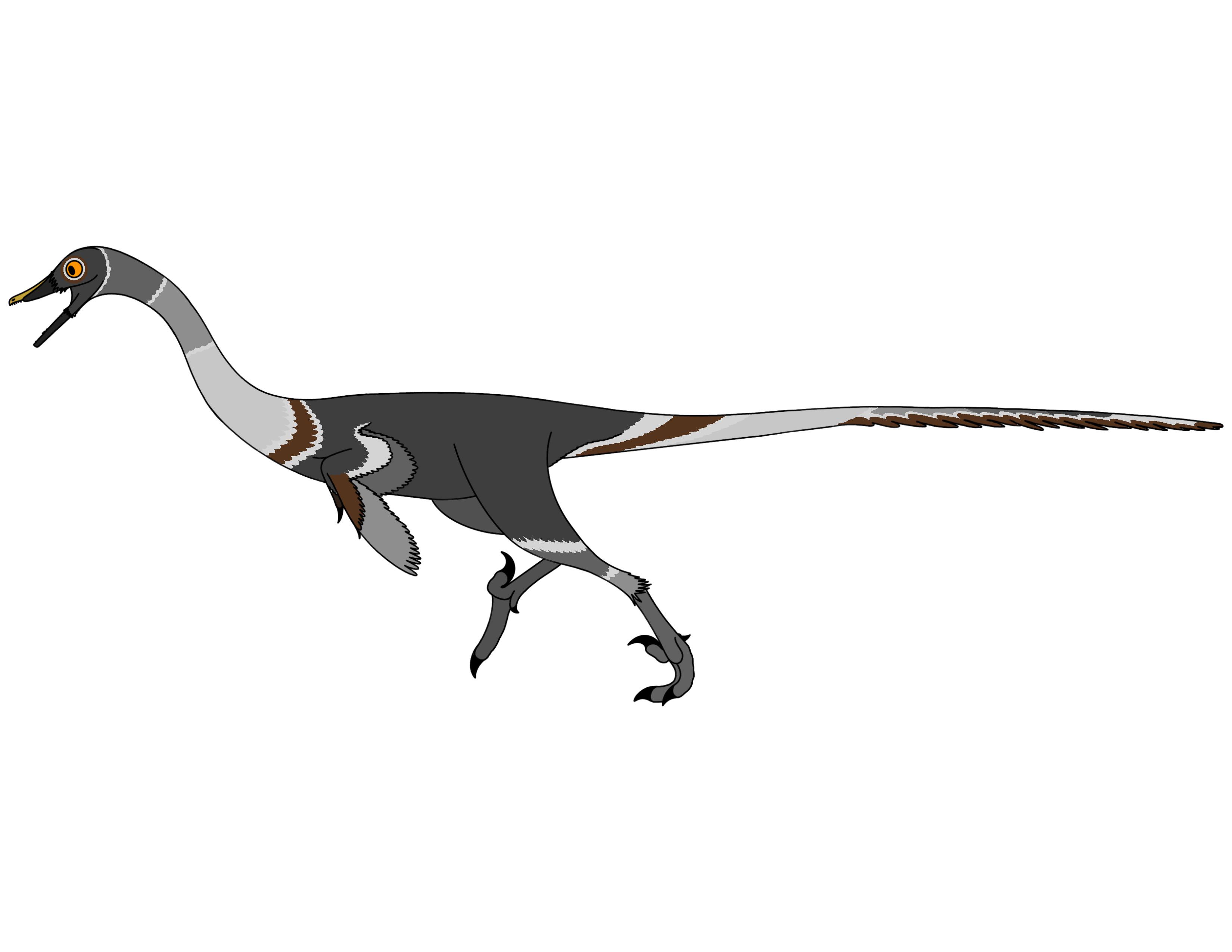Halszkaraptor Escuilliei: A small Dromeosaur from the late Cretaceous of Mongolia | Scrolller