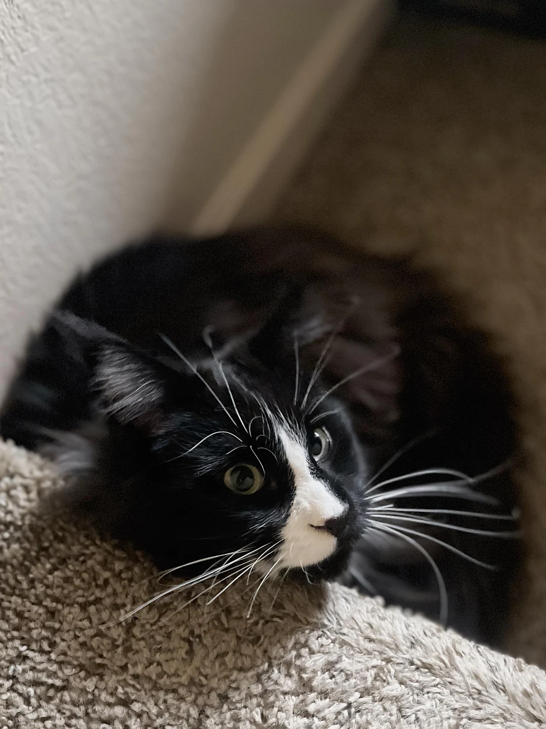 Tripping hazard | Scrolller