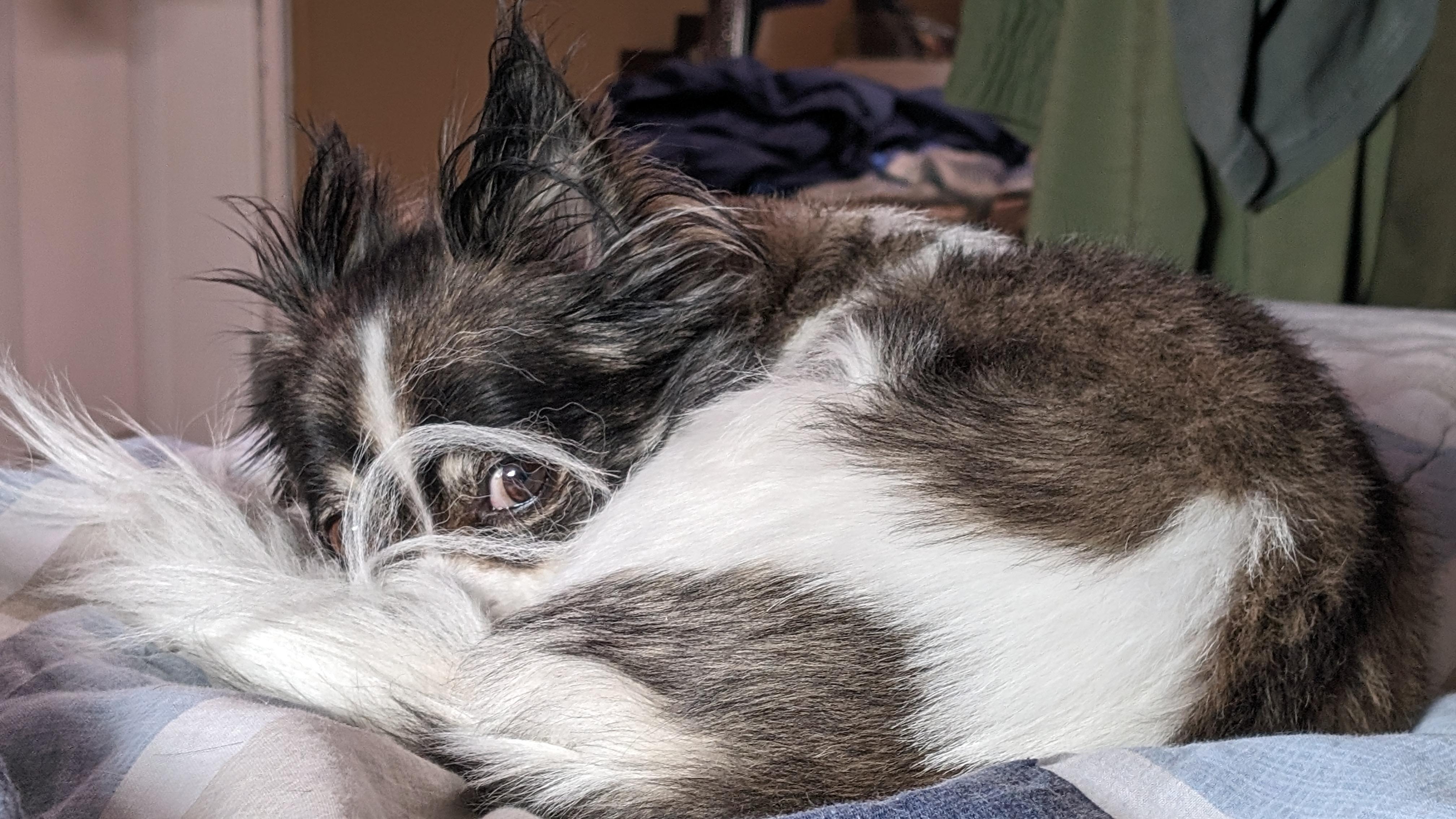 Always watching | Scrolller