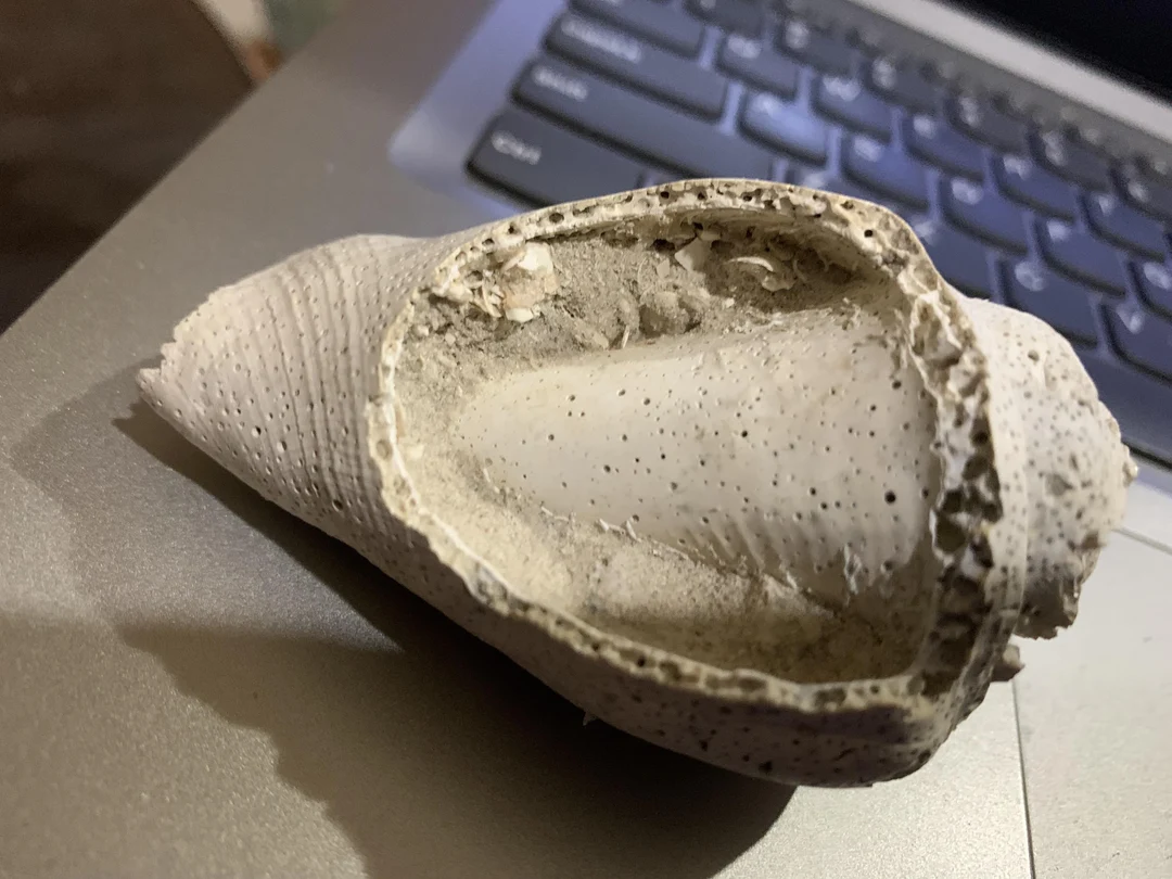 Fossilized sand inside | Scrolller