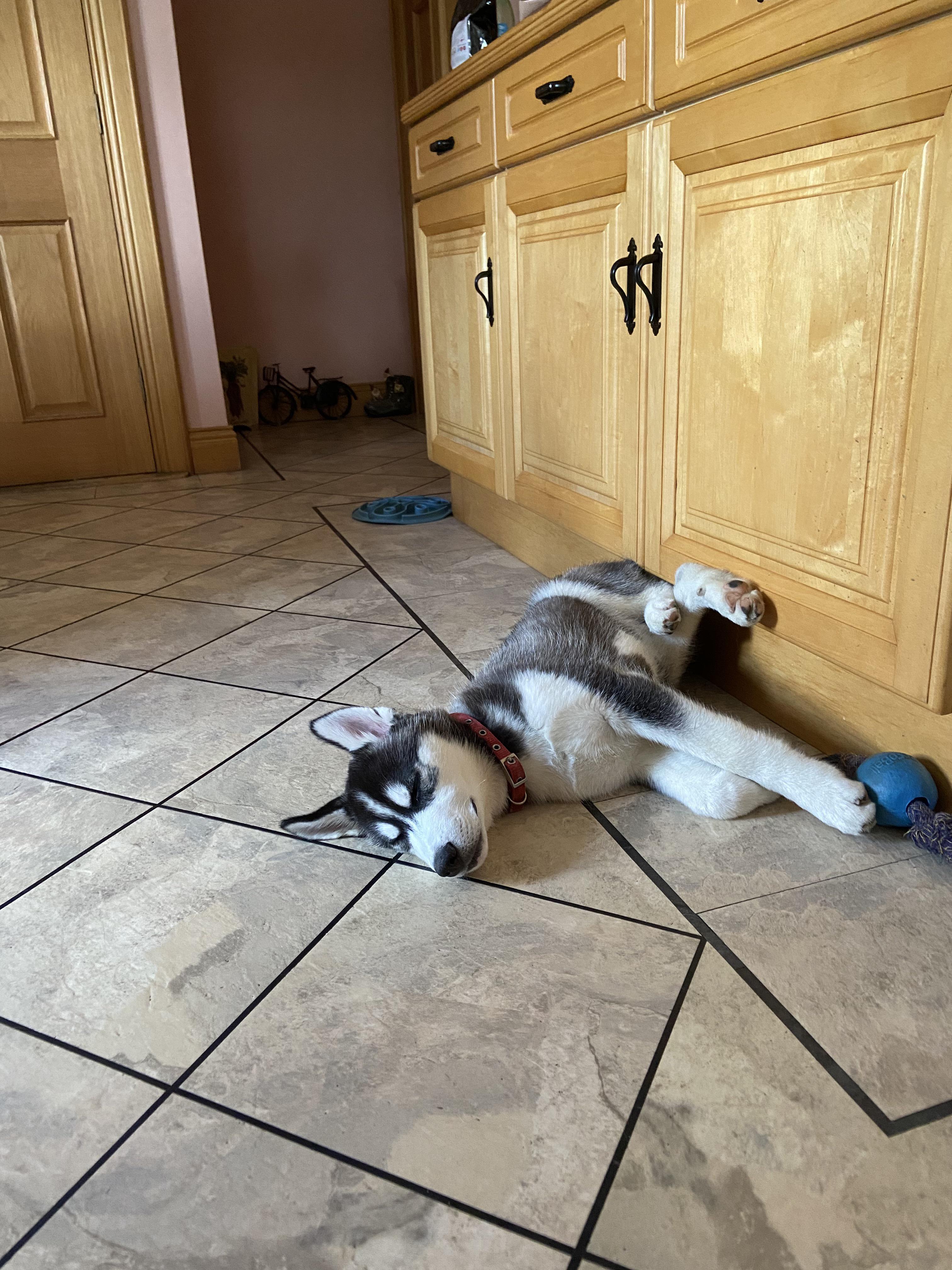 How is this comfortable?! | Scrolller