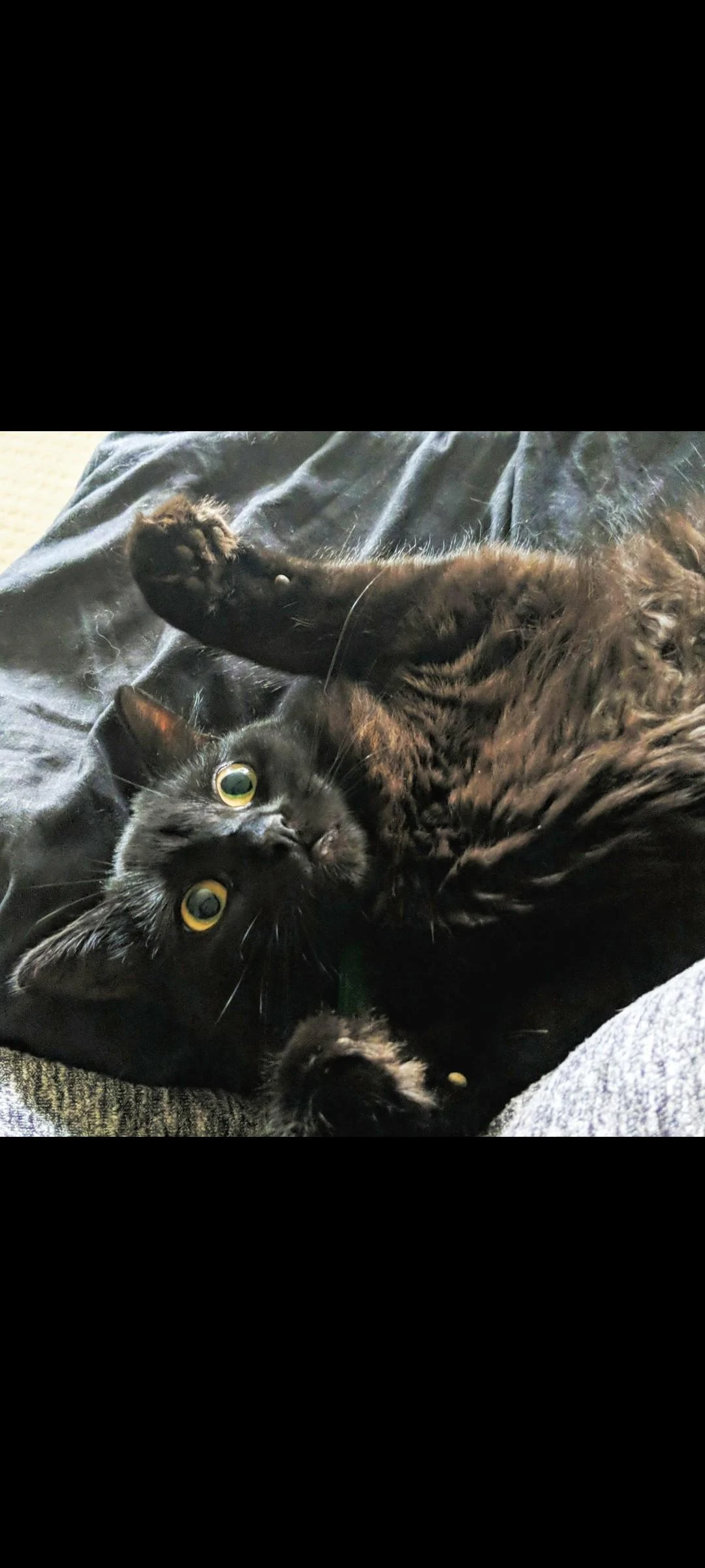 Grooming | Scrolller