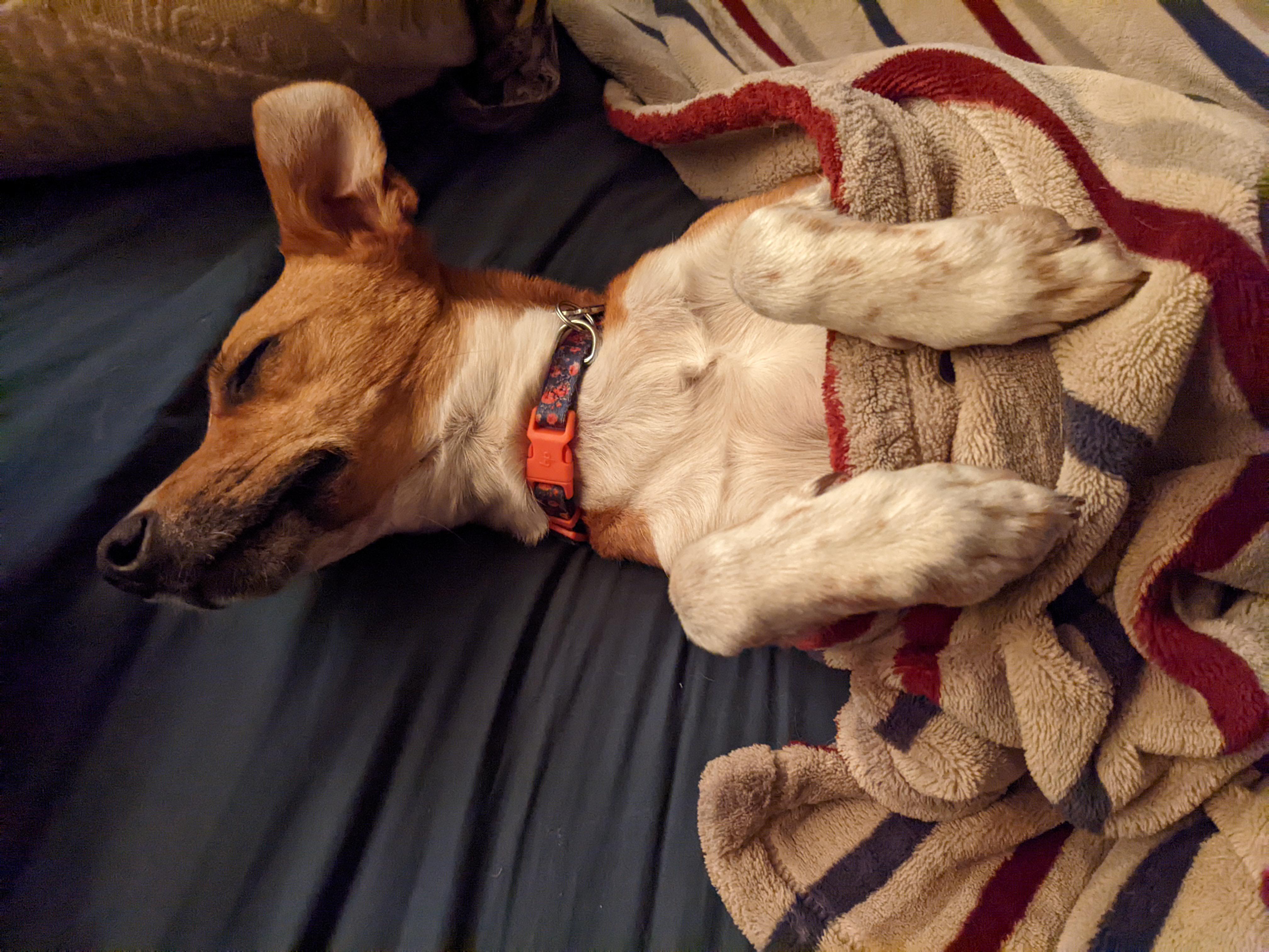 She's sleeping | Scrolller