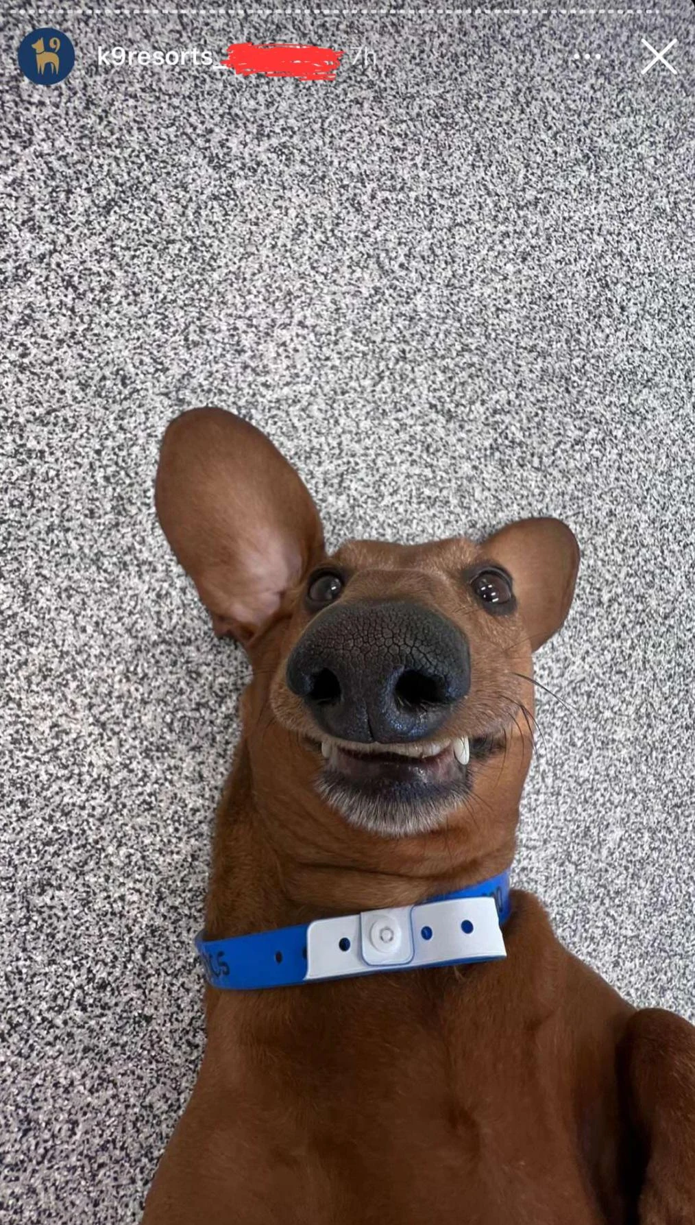 Say cheese | Scrolller