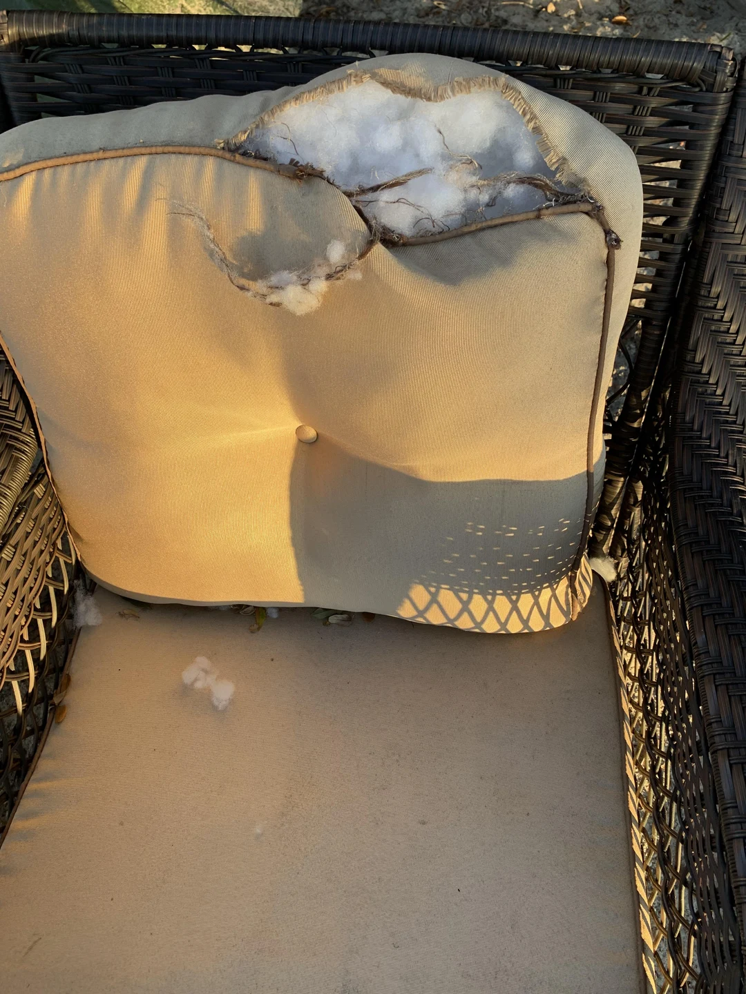 Please give advice… | Scrolller