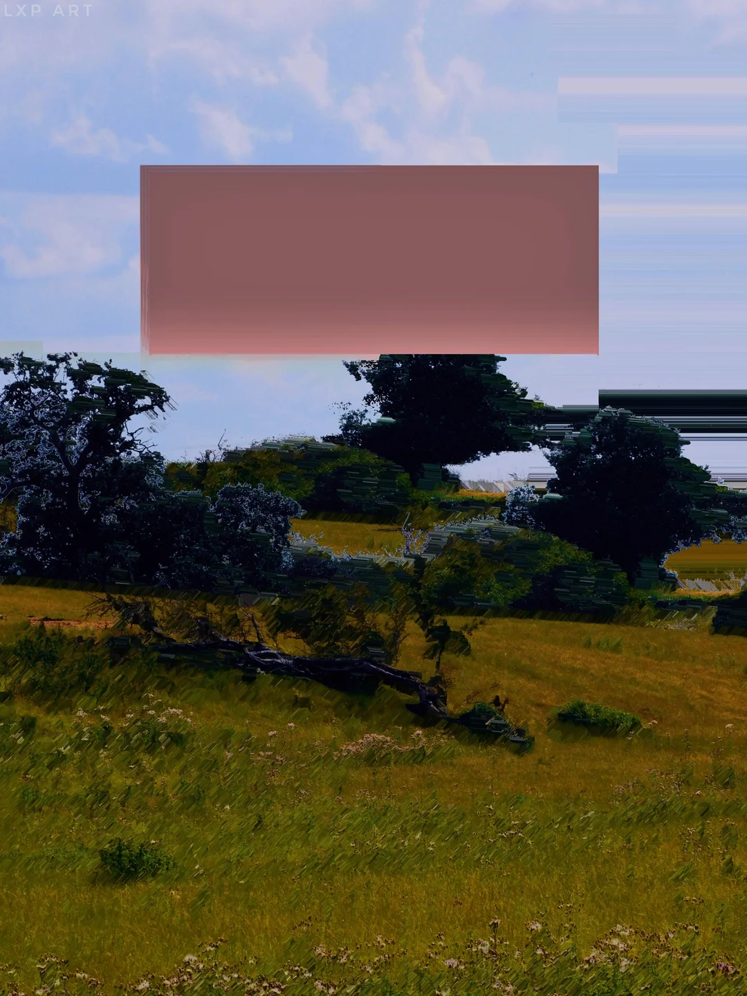 [3456x4608] 'Summer Meadow' [OC] | Scrolller