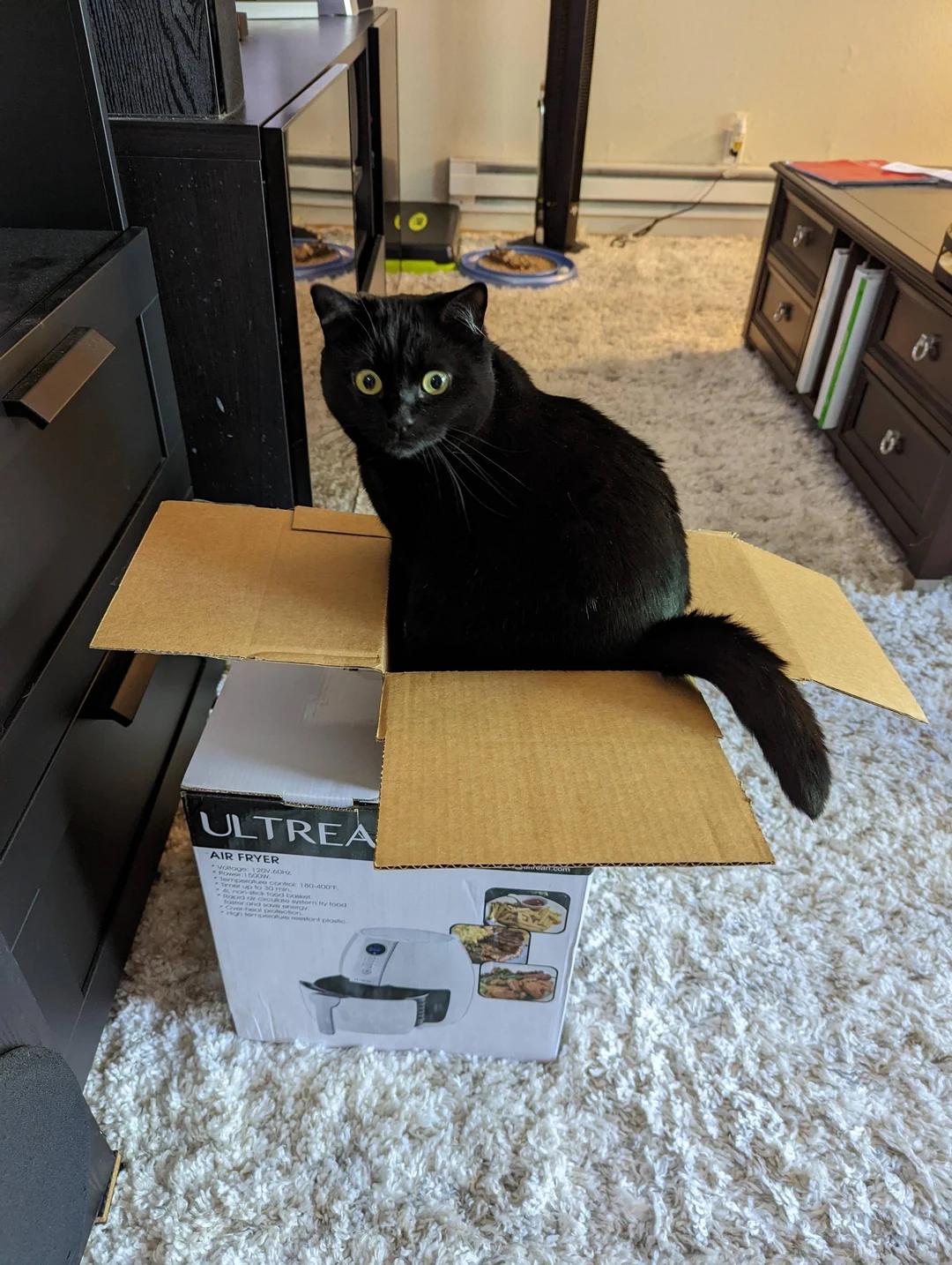 Binx looks worried about being caught. | Scrolller