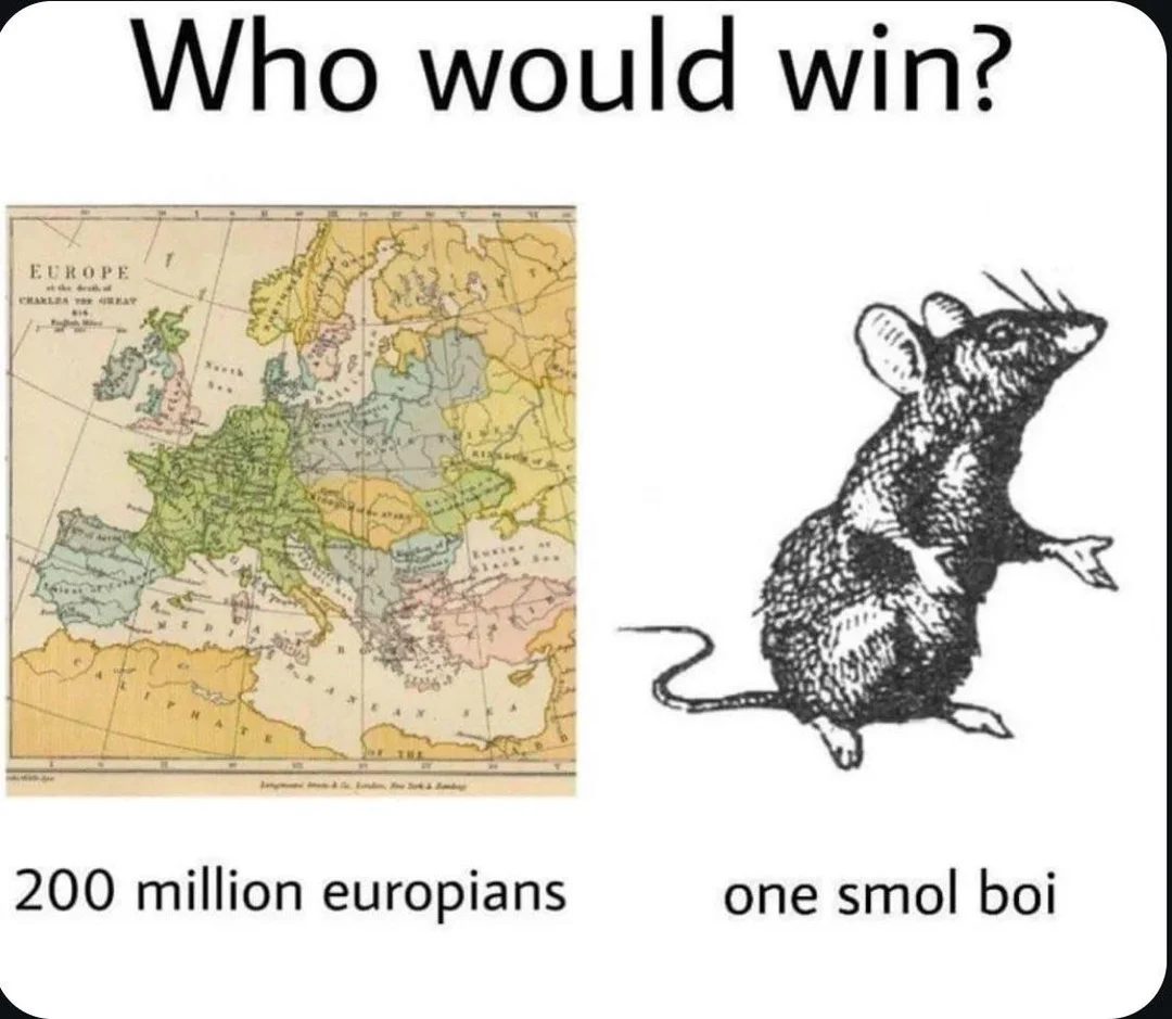 Who would win? | Scrolller