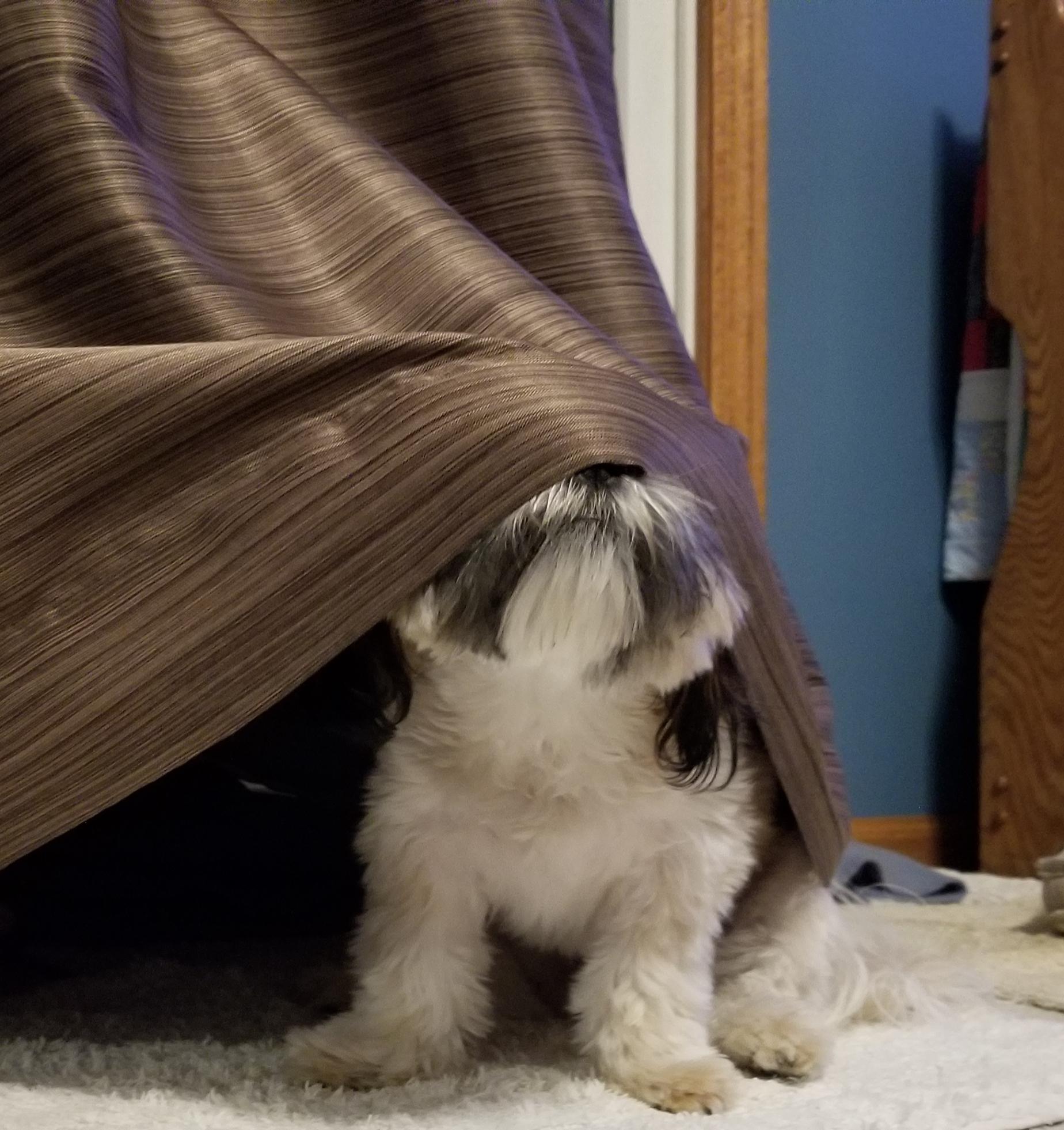 our lil goofball | Scrolller