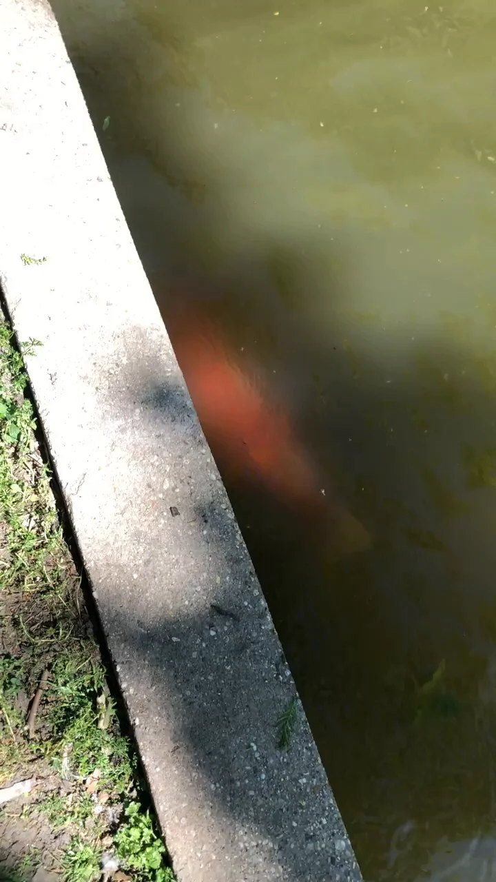 Unusual fishin’ buddy. | Scrolller