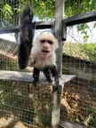 [OC] My wife got told NO PICTURES by a monkey. | Scrolller