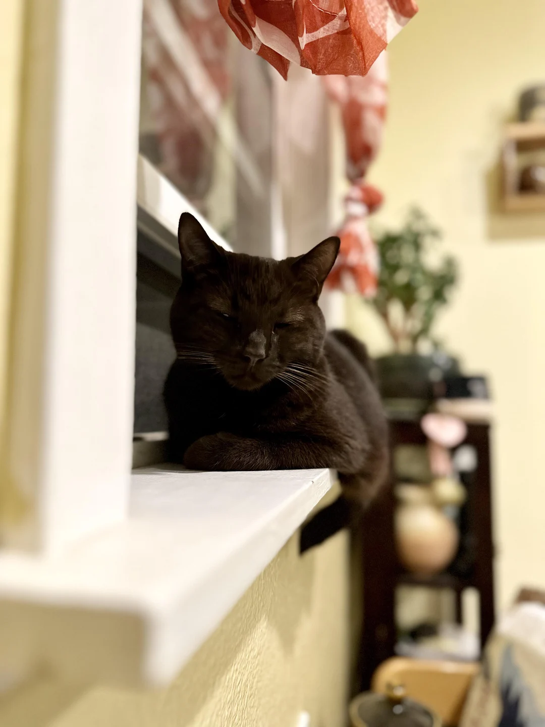 Princess Loaf | Scrolller