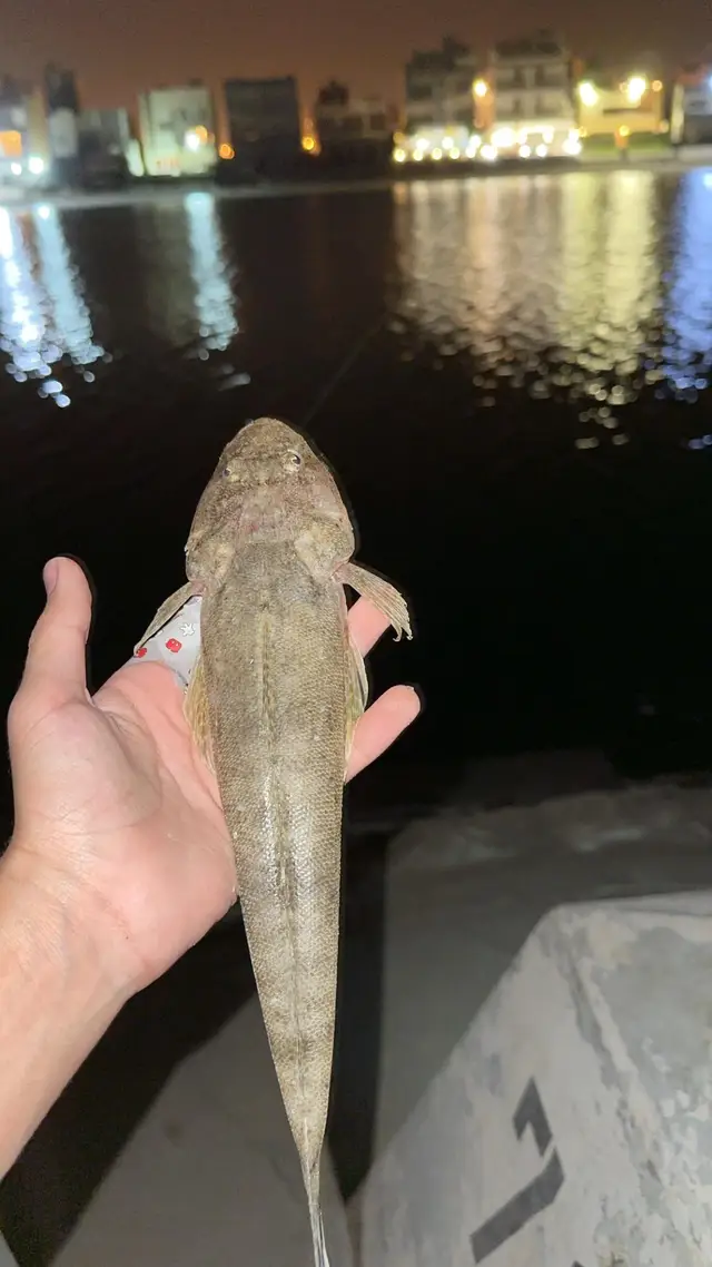 Another beautiful flathead | Scrolller