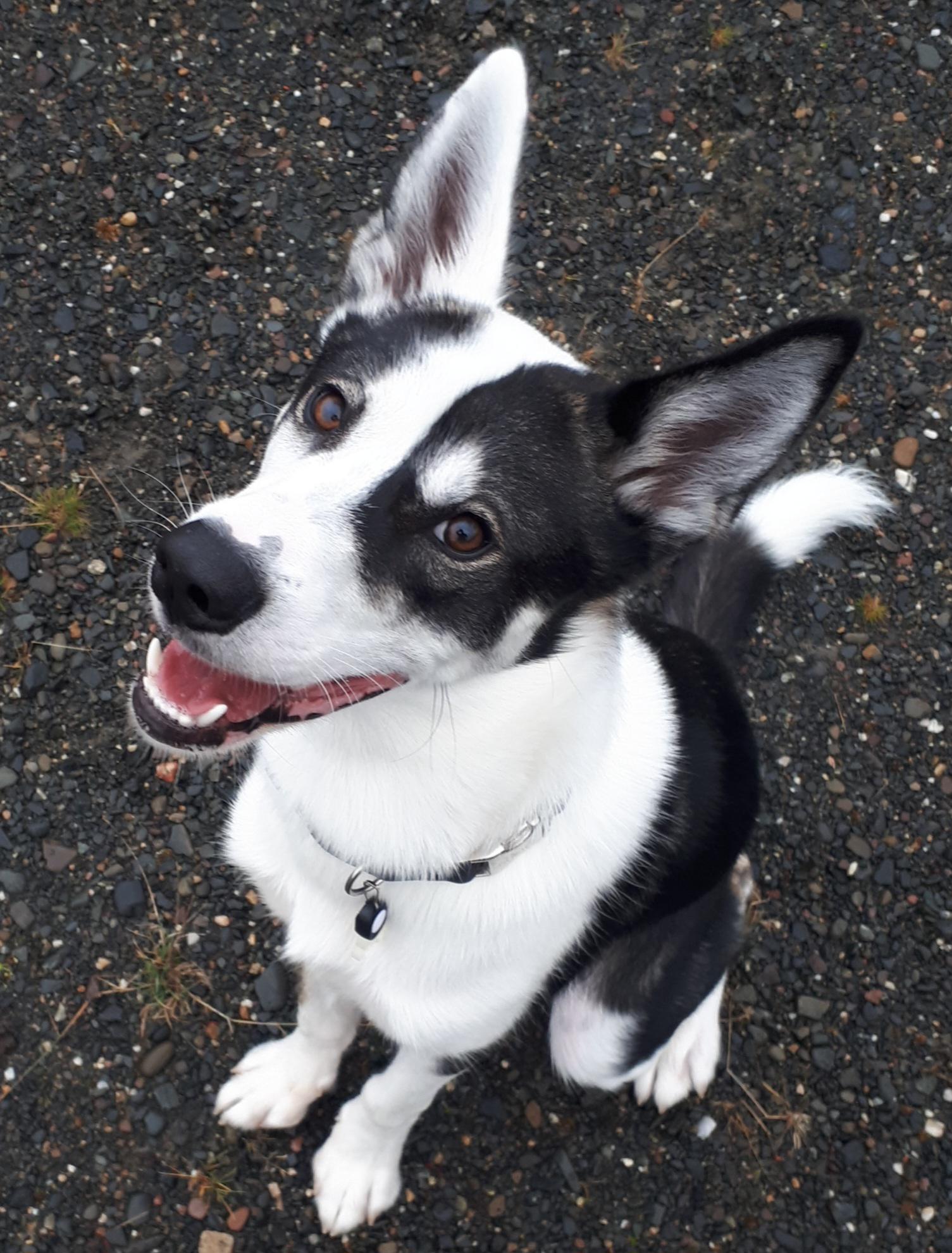 Smile for the camera | Scrolller