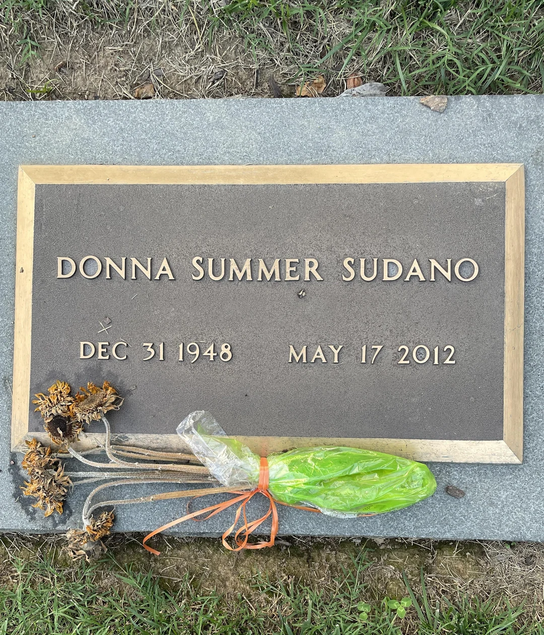 Donna Summer | Scrolller