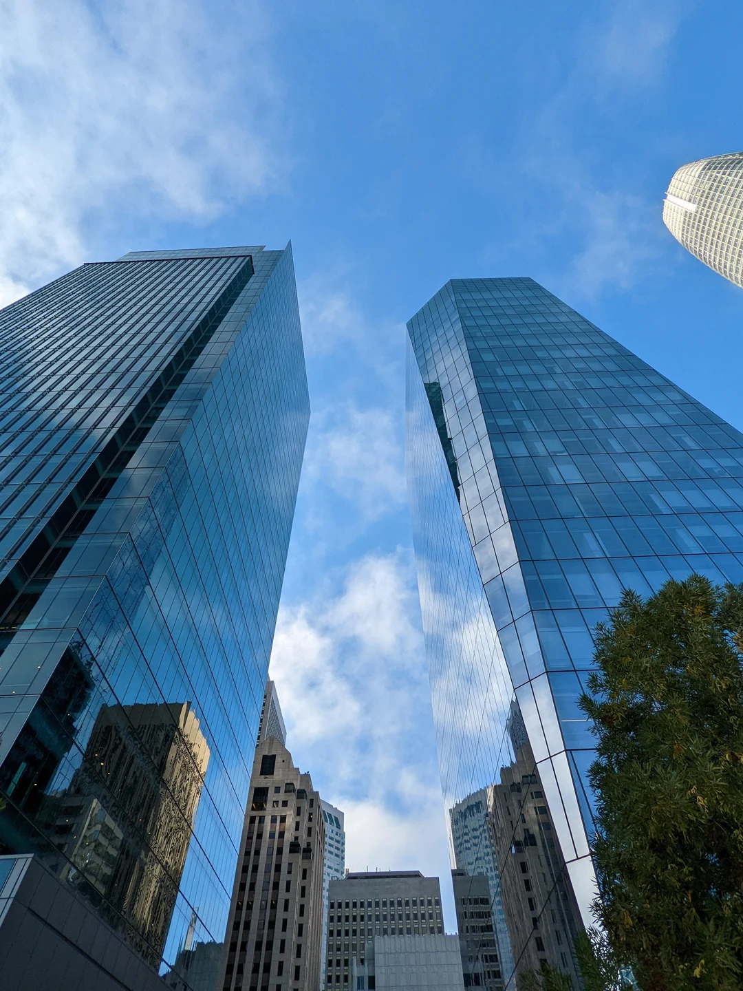 View from Salesforce Park, San Francisco | Scrolller