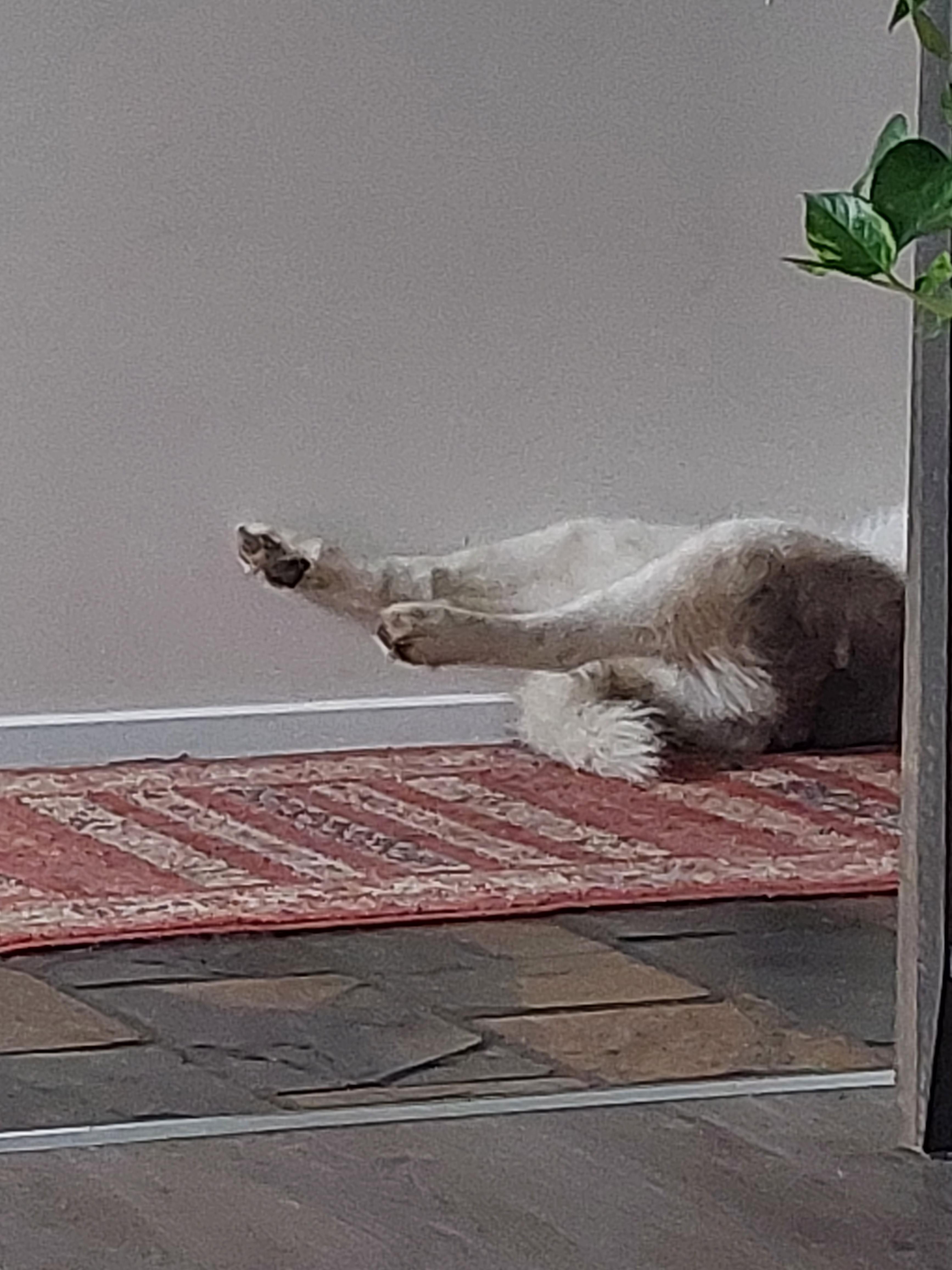 My view from the lounge | Scrolller