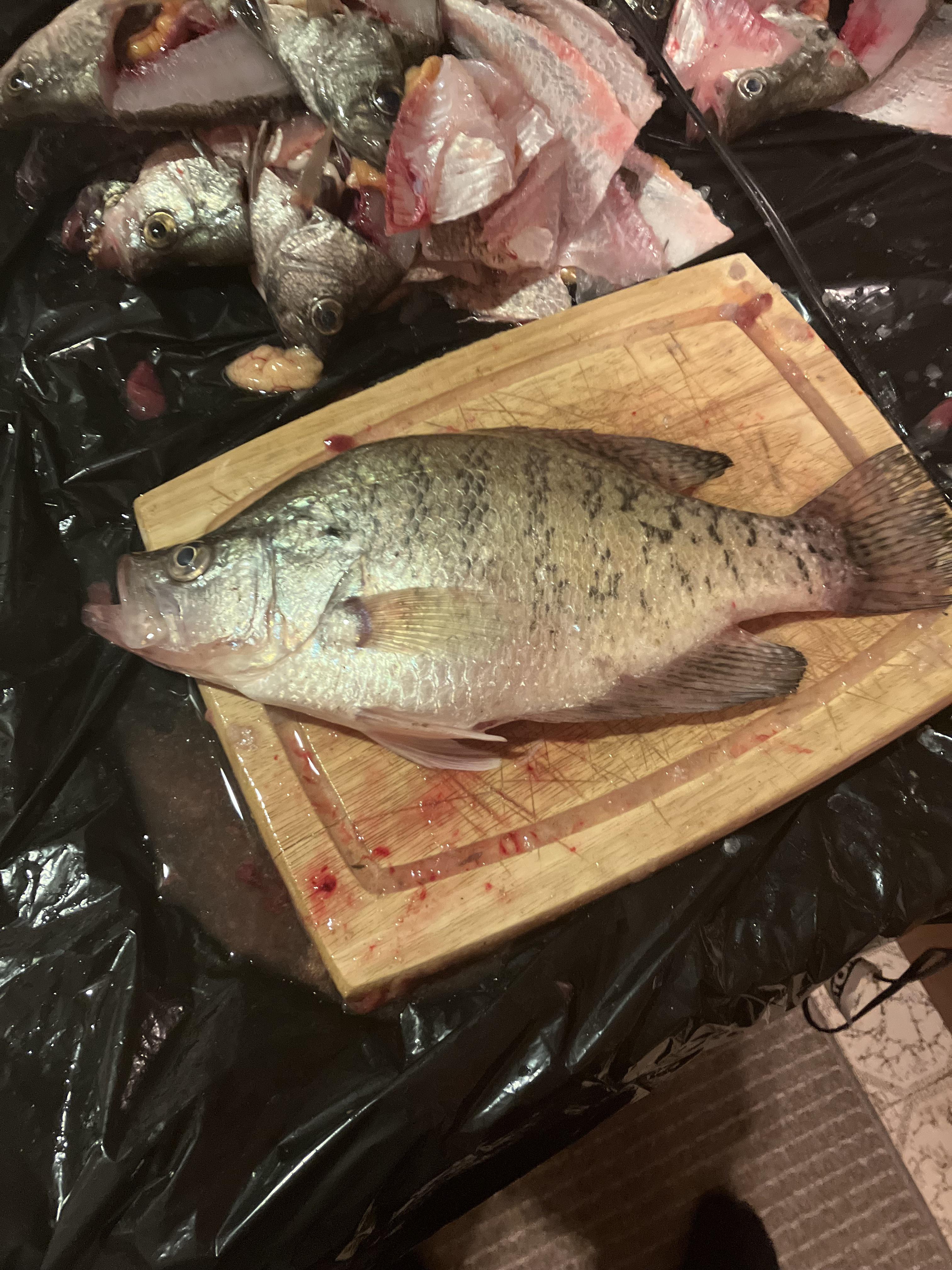 Caught a few slabs finally | Scrolller