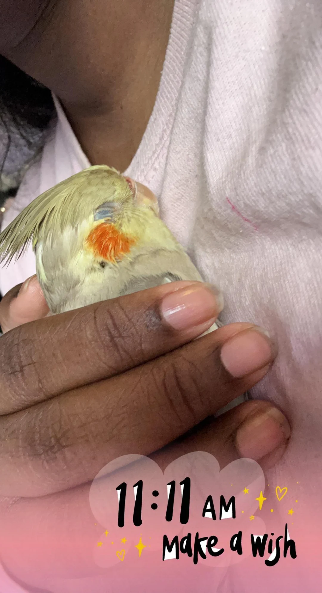 Look at my sleepy mocha!! Also why do birb a sleep only when I’m in an uncomfortable position ...