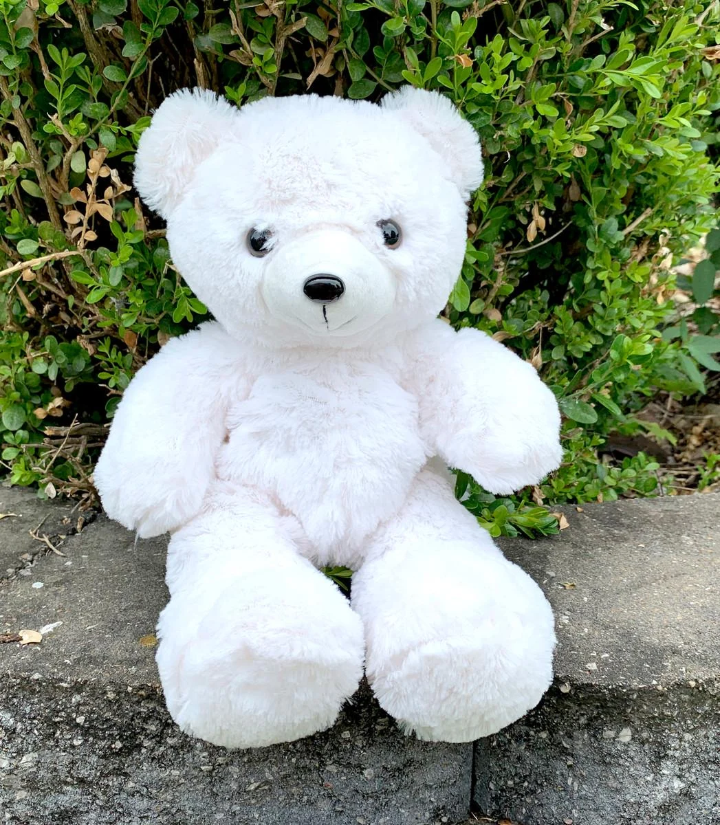 White teddy bear | Scrolller