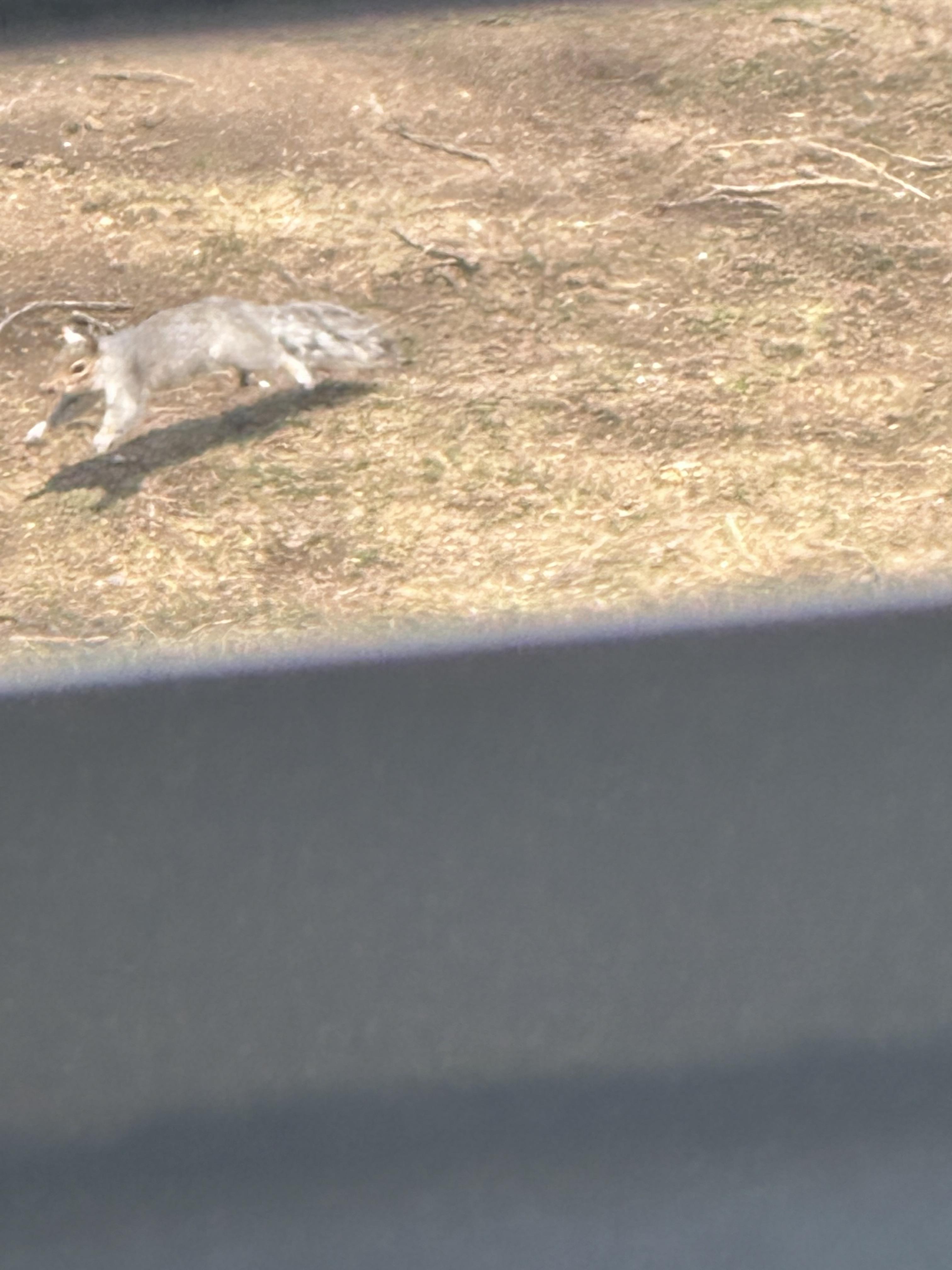 Caught in 4k | Scrolller