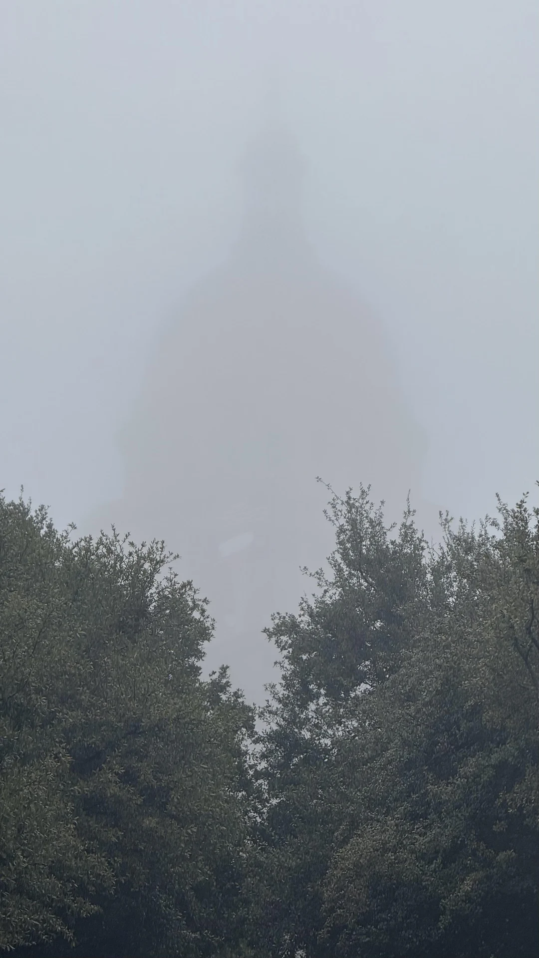 Texas Capitol in the mist | Scrolller