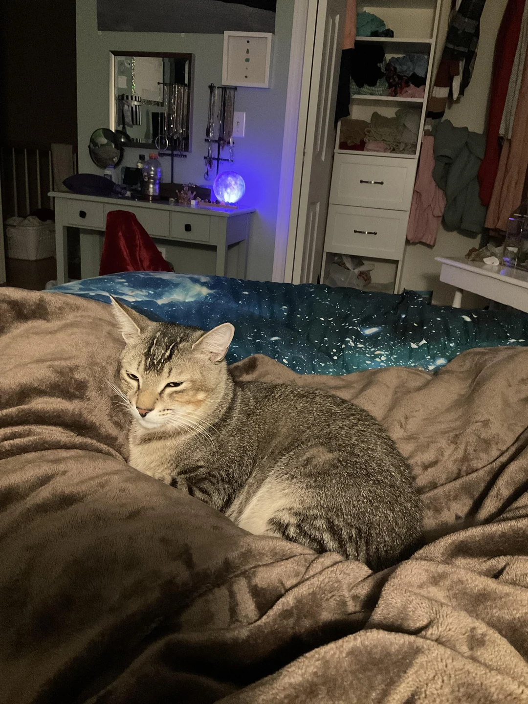 Sideways loaf | Scrolller