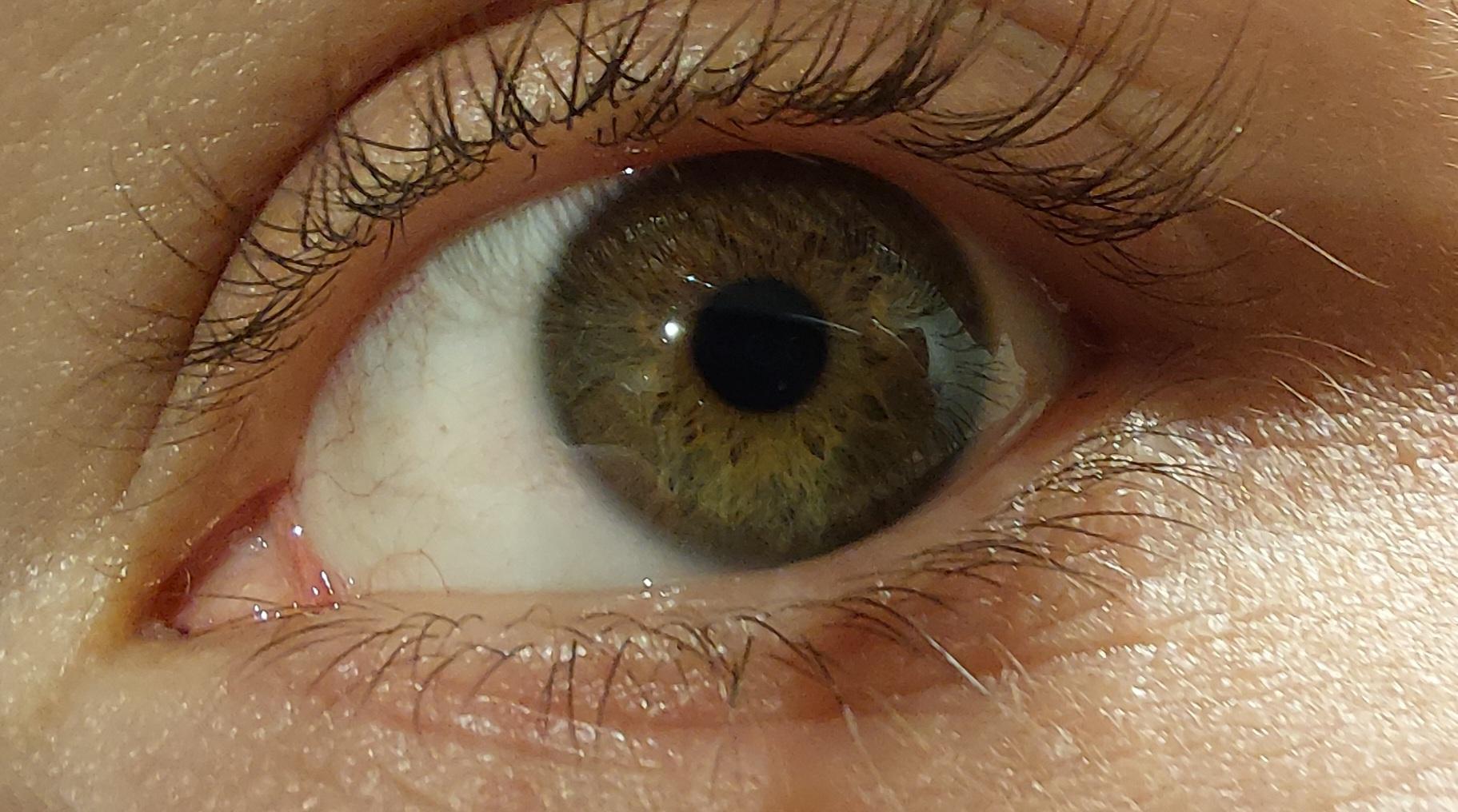 Green or hazel? | Scrolller