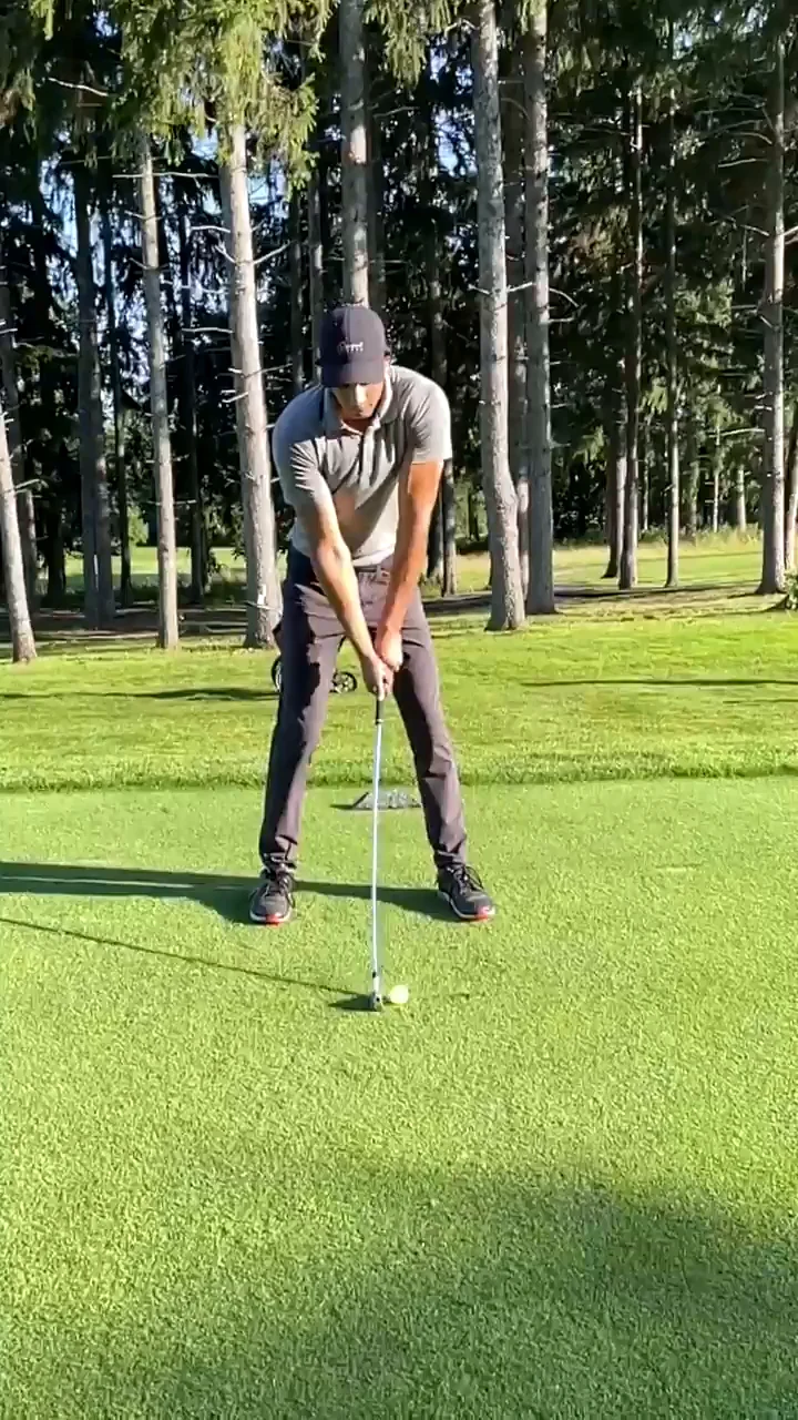 Stinger Tips | Scrolller