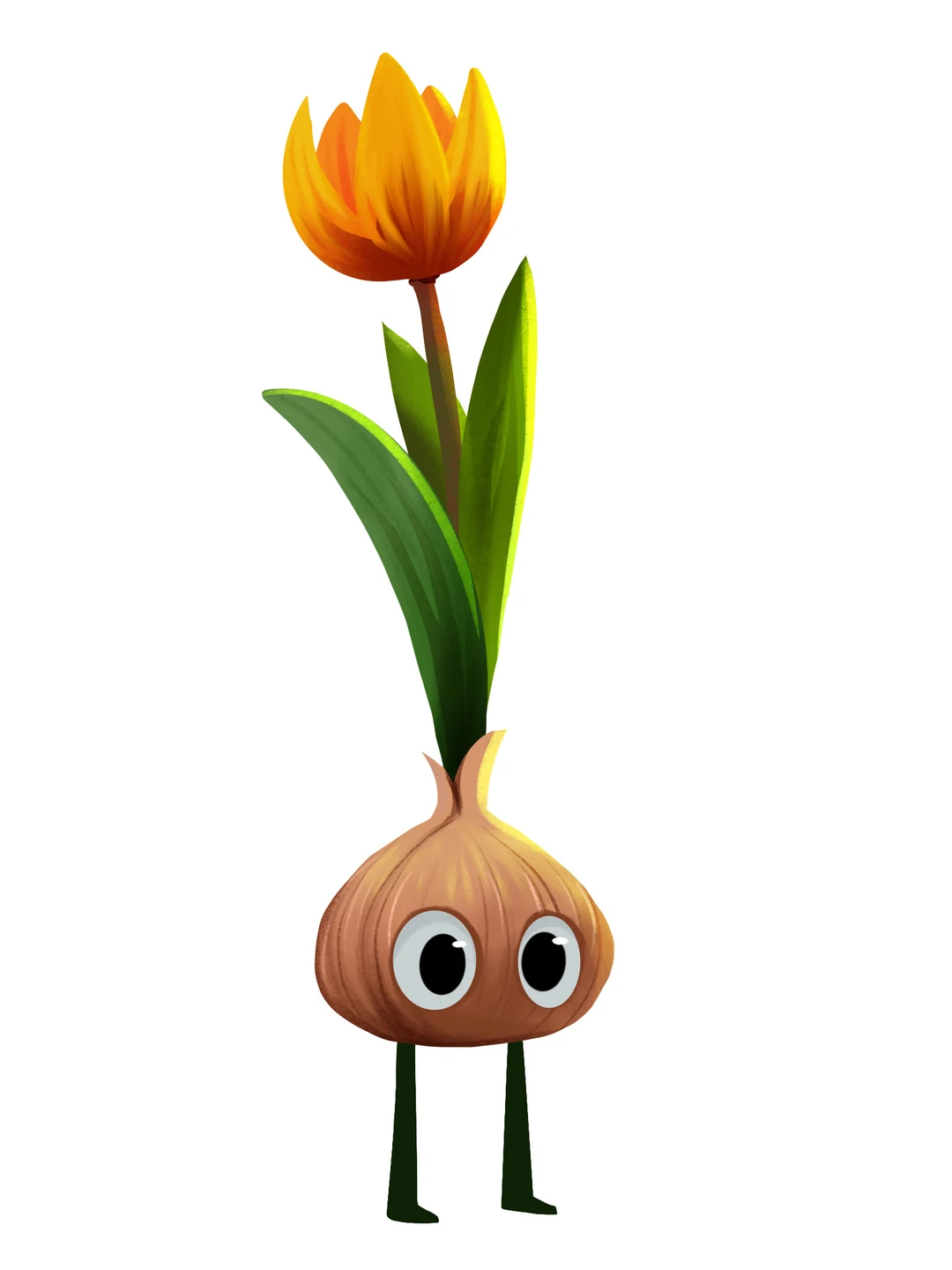 Tulip by Meg Viola | Scrolller