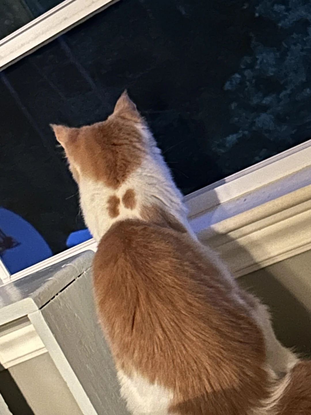 Anyone else’s MC have angel wings? | Scrolller